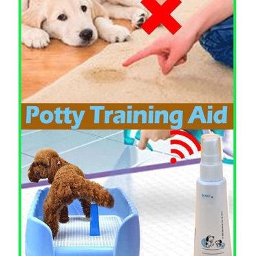 2 Pack - CitiKitty Cat Toilet Training Kit - Walmart.com