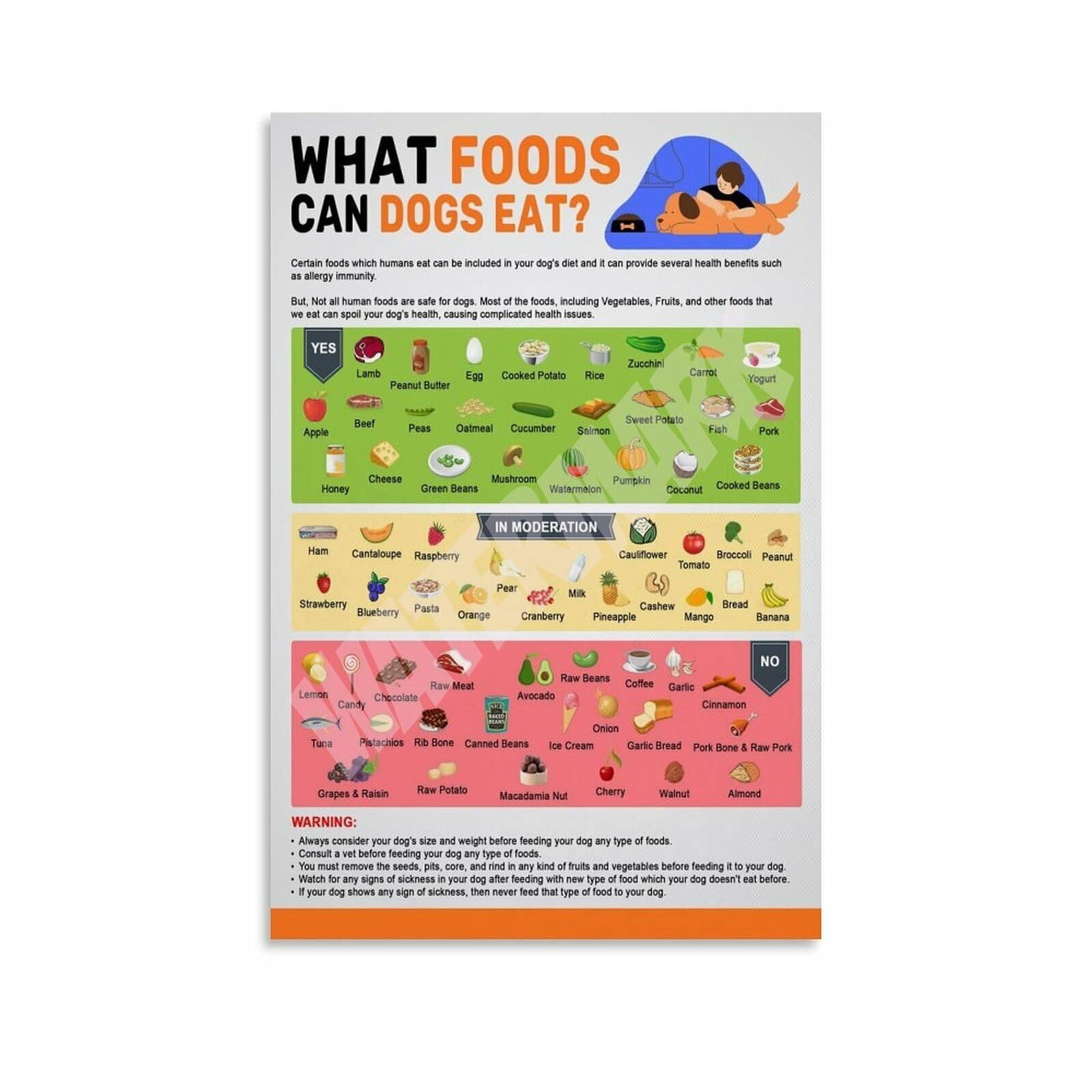 Pet Poster, Pet Feeding Guide, Cat And Dog Feeding Taboo, Pet Food ...