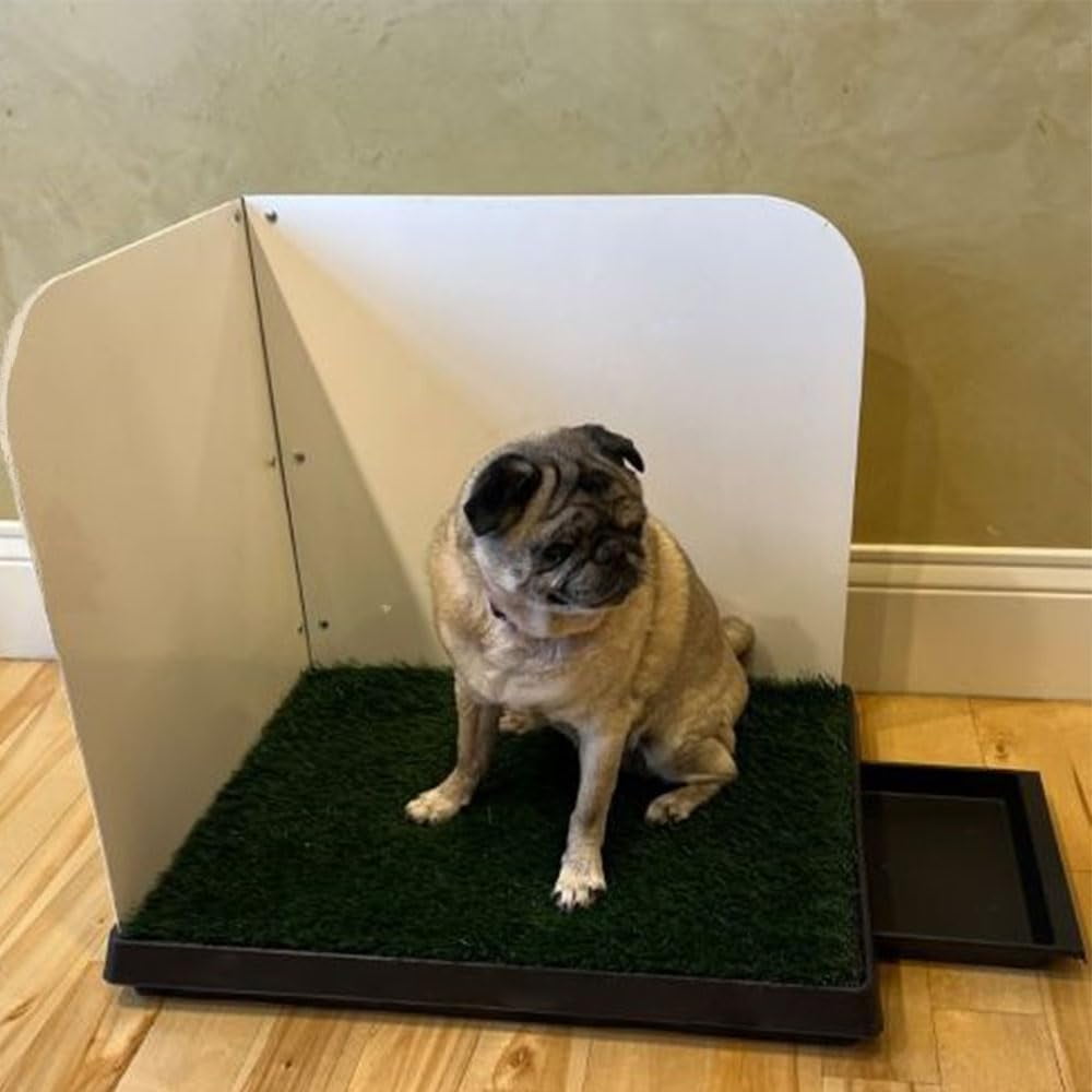 Pet Potty Park Deluxe Dog Bathroom. - Walmart.com