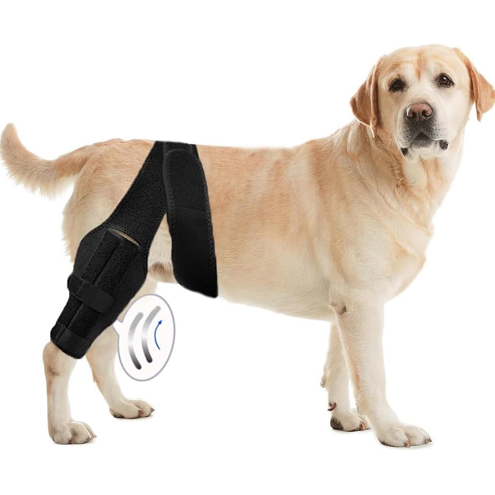 Pet Protective Gear for Dogs - Leg Injury Auxiliary Belt & Knee ...