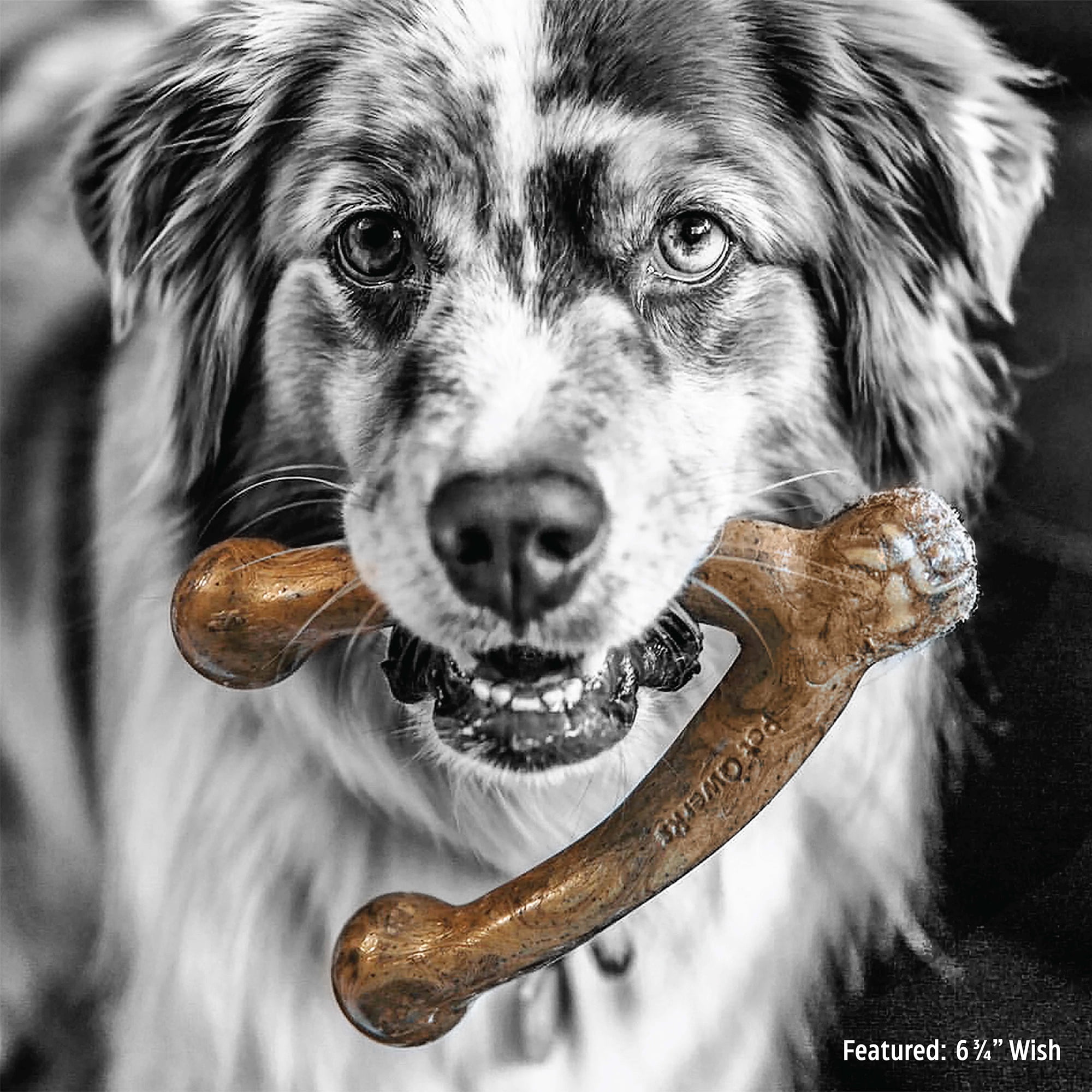 Pet Qwerks BarkBone Natural Instincts Bacon Infused Wishbone Nylon Bone ...