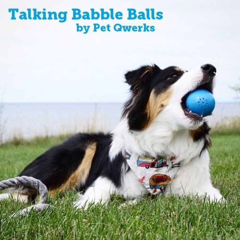 Pet Qwerks Small Talking Babble Ball Toy for Dogs - Walmart.com