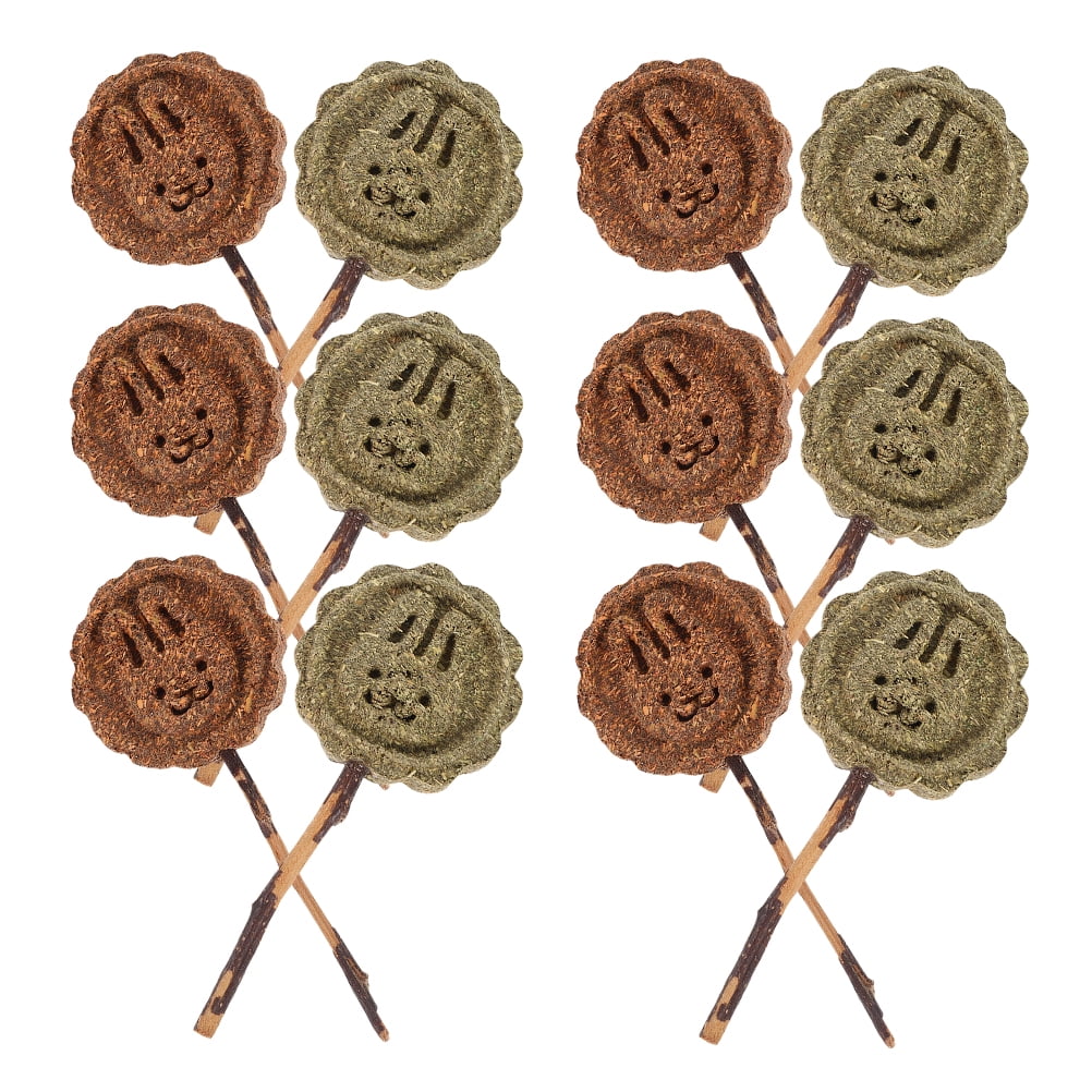 Pet Rabbit Snacks 20 Pcs Hamster Biting Playthings Bunny Chew Toys ...