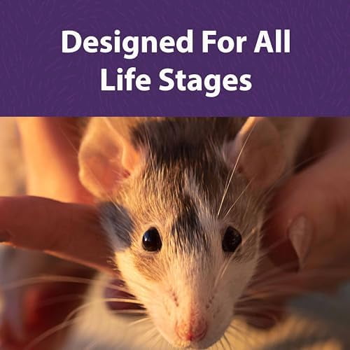 | Pet Rat & Mouse Food | Rodent Pellet Blocks| 2 Pound (2 Lb.) Bag ...