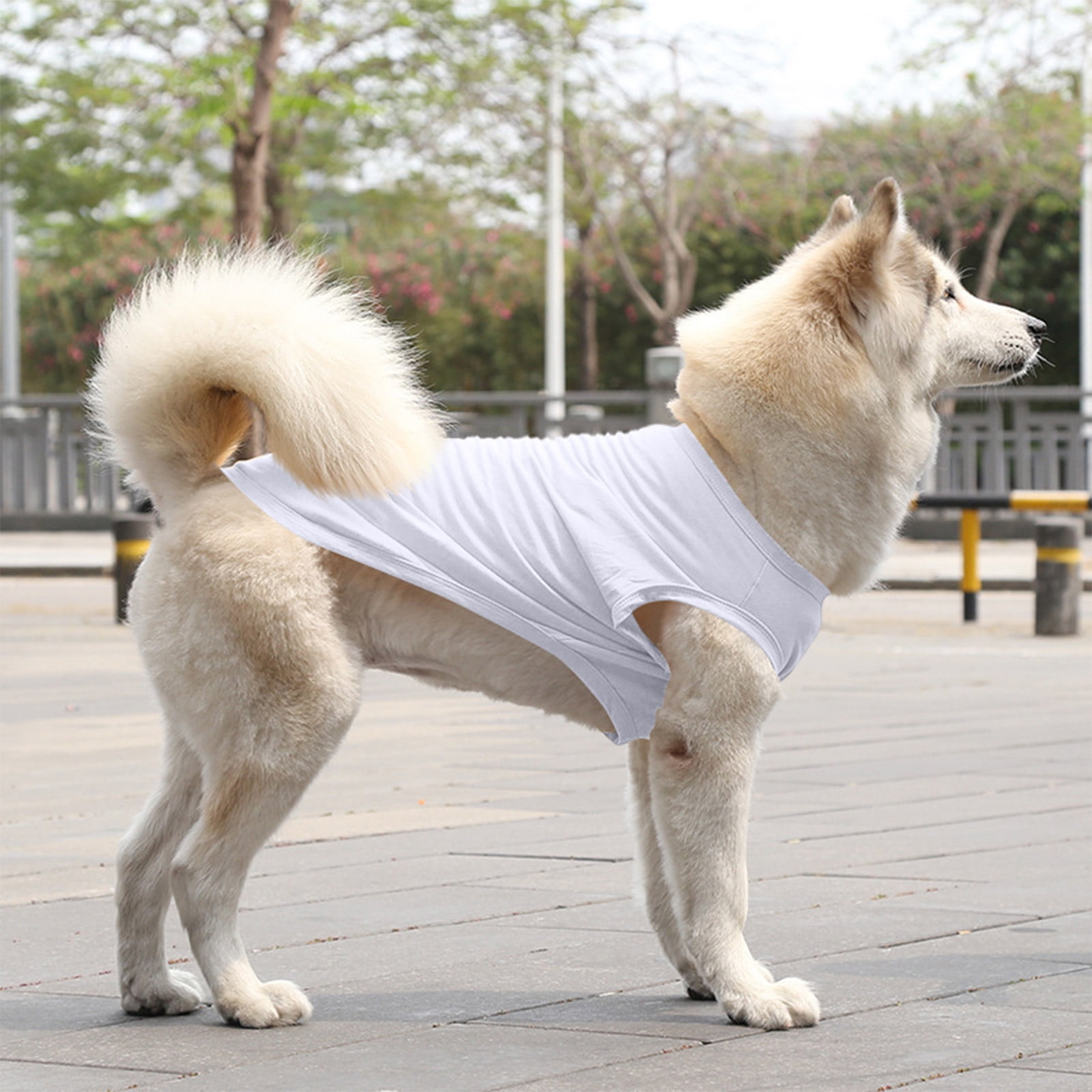 Pet Safety Vest for Dogs & Cats - Adjustable Breathable Harness with ...