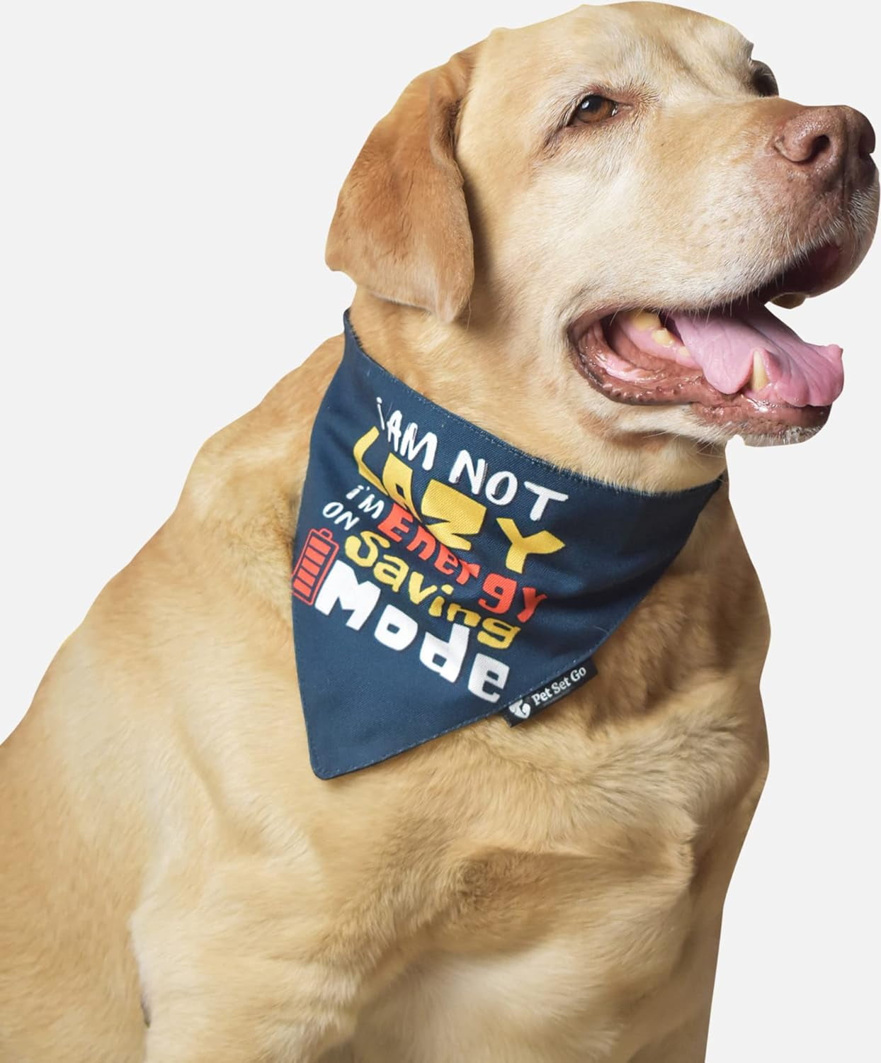 Pet Set Go Navy Blue I Am Not Lazy Dog Bandana - Small - Walmart.com