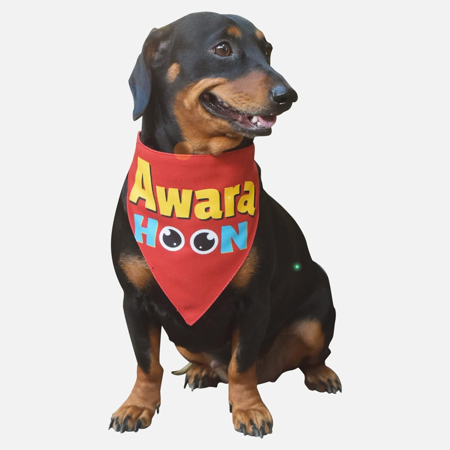 Pet Set Go Red Awara Hoon Dog Bandana - Medium - Walmart.com