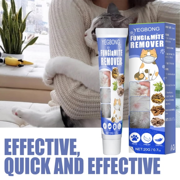 Ringworm Treatment Cats