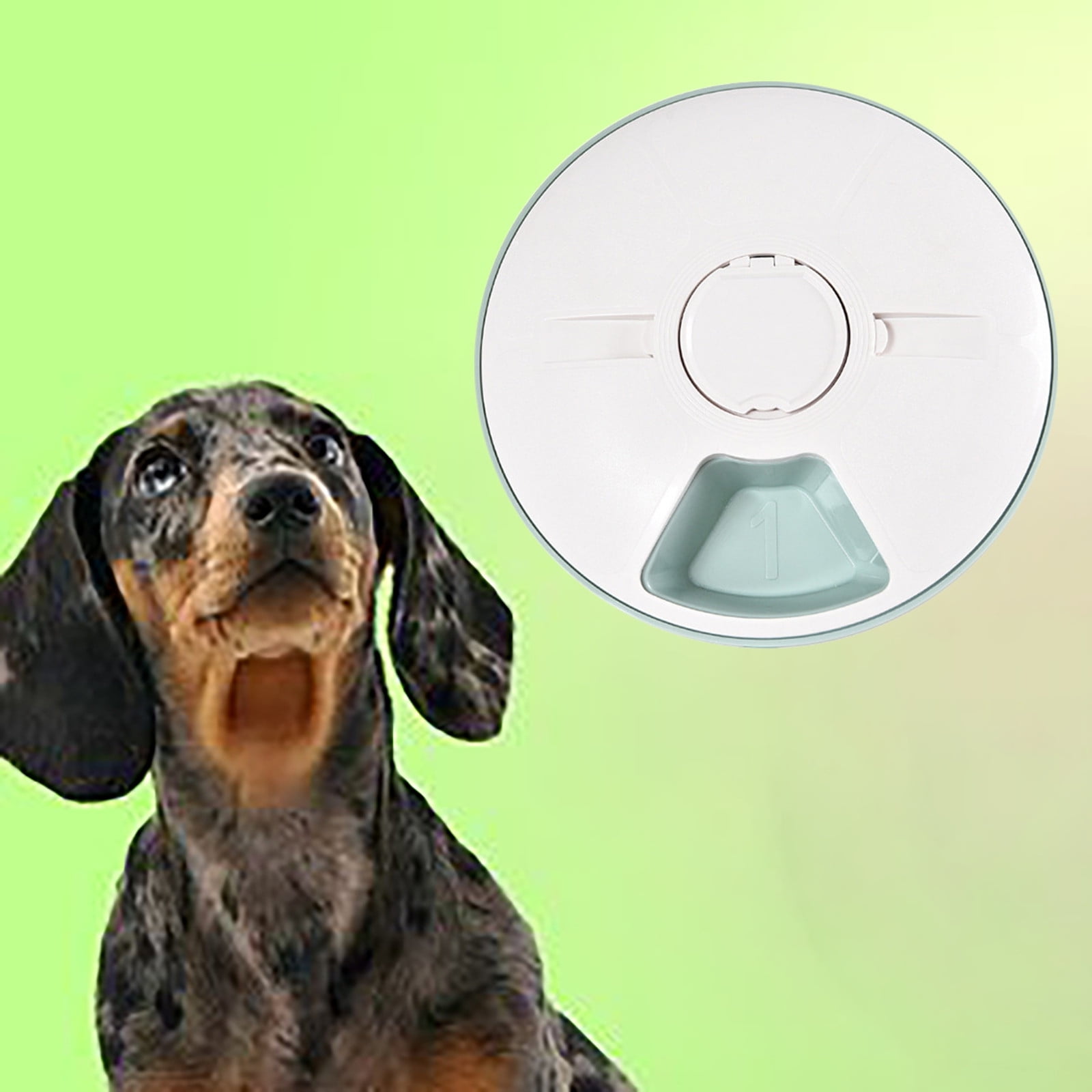 Pet Smart Timer Feeder Six Grid Dog Meow Automatic Timer Ration Feeder ...
