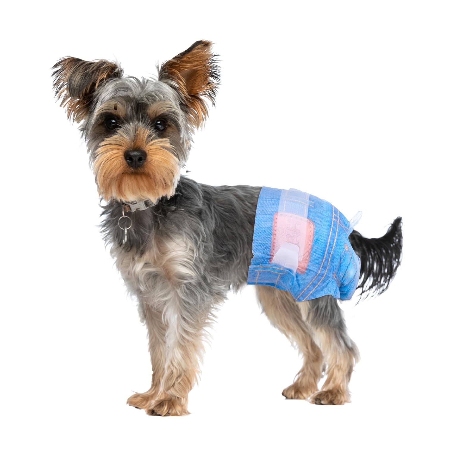 Pet Soft Dog Diapers Female, Disposable Dog Diapers, Cat Diapers for ...