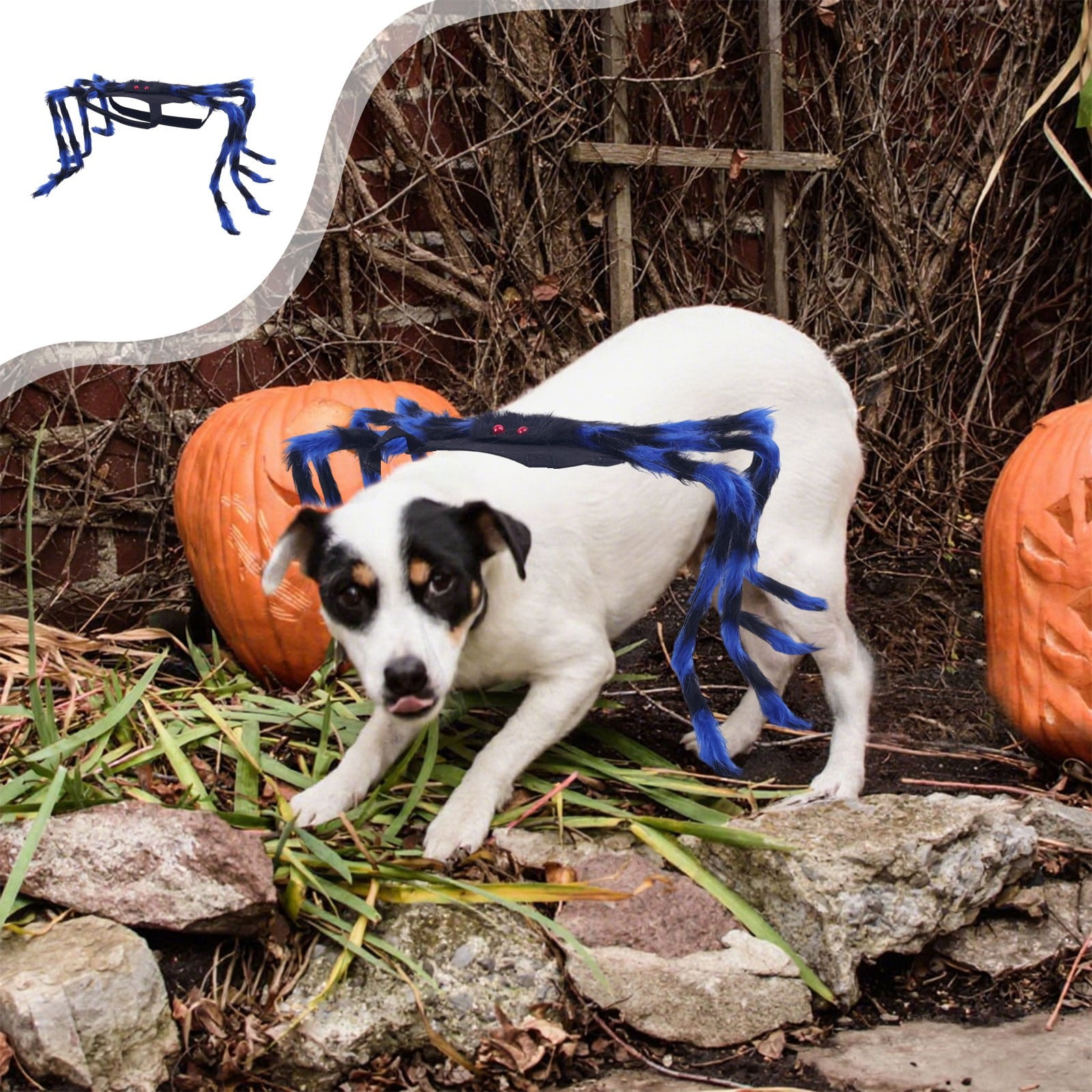 Pet Spider Costume ,Halloween Dogs Cats Costume Furry Giant Simulation ...