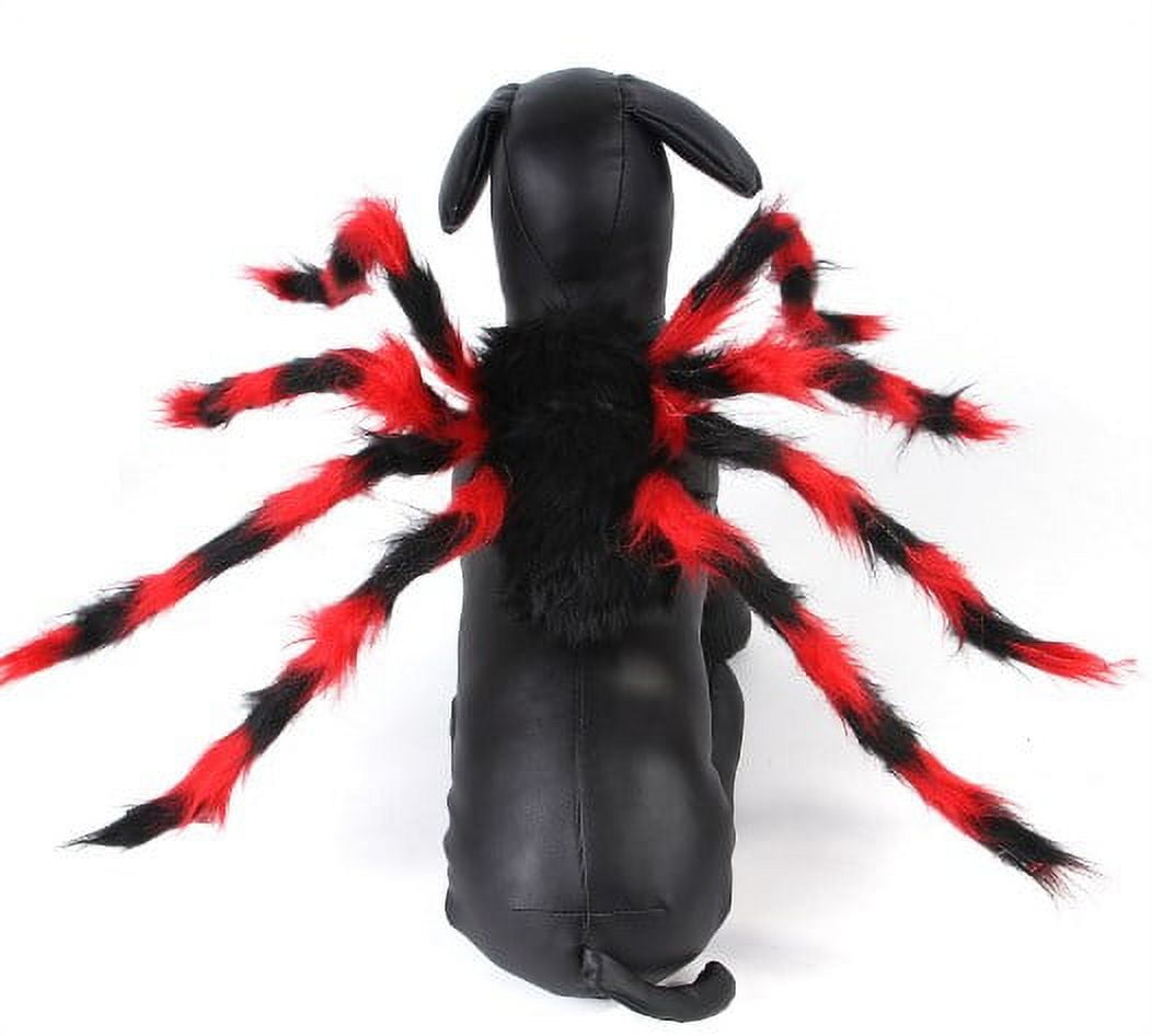 Pet Spider Costume Halloween Spider Costume for Cats and Small to ...