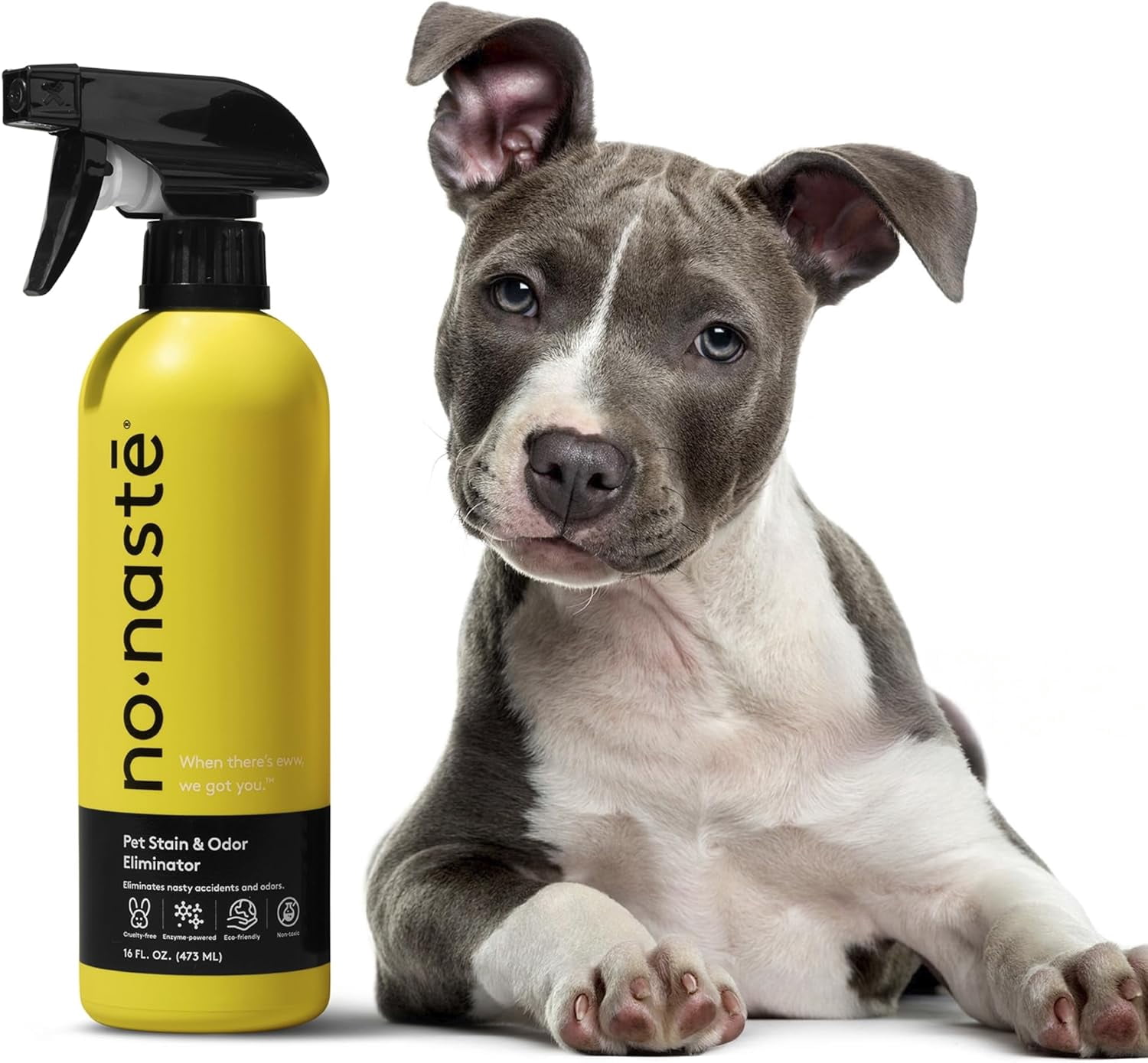 Pet Stain & Odor Eliminator Spray (16 Oz, Pack of 1) – Enzyme Cleaner ...