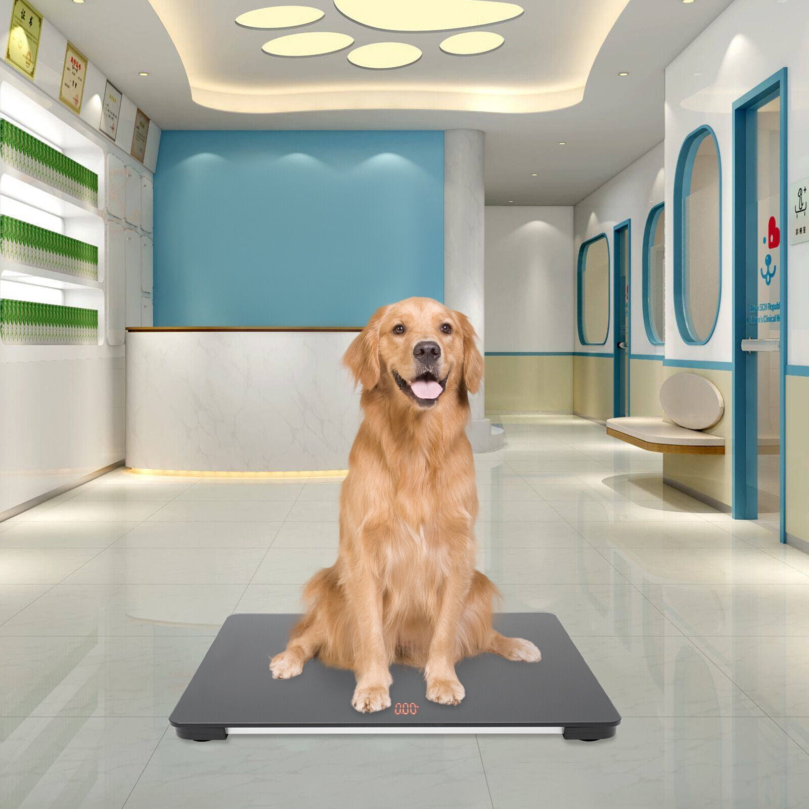 Pet Store Hospital Scale Large Dog Weighing Scale 100kg LCD Scale ...