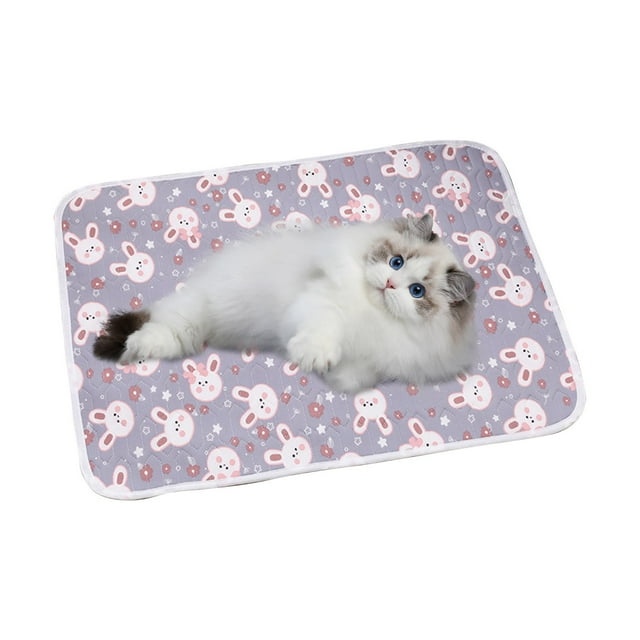 Pet Summer Latex Mat Dog Mat Cat Sleep Mat Dog Ice Silk Mat Ice Mat Pet ...