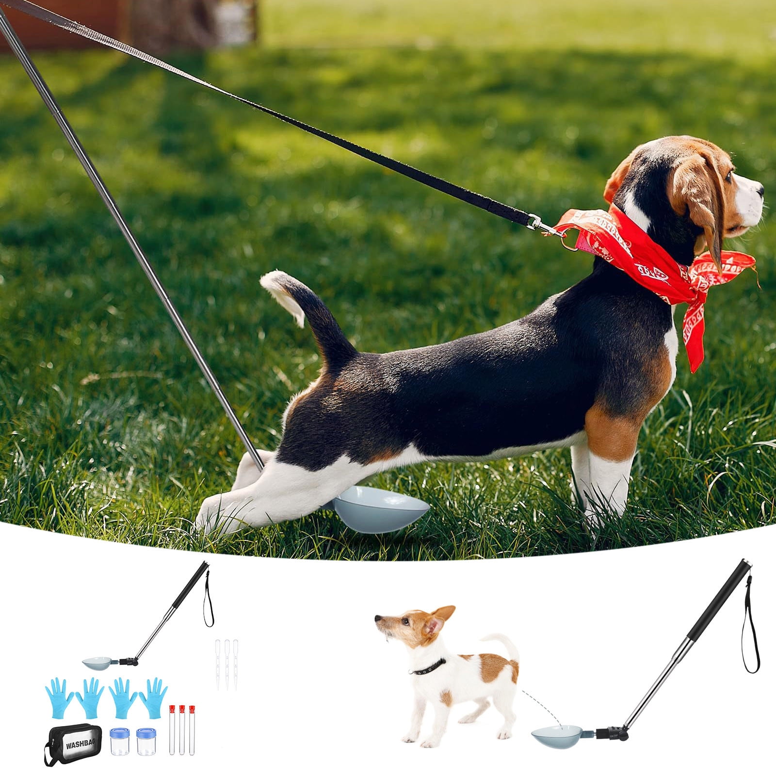 Pet Supplies Dog Collector Retractable Poop Collector Long Handle Ideal ...