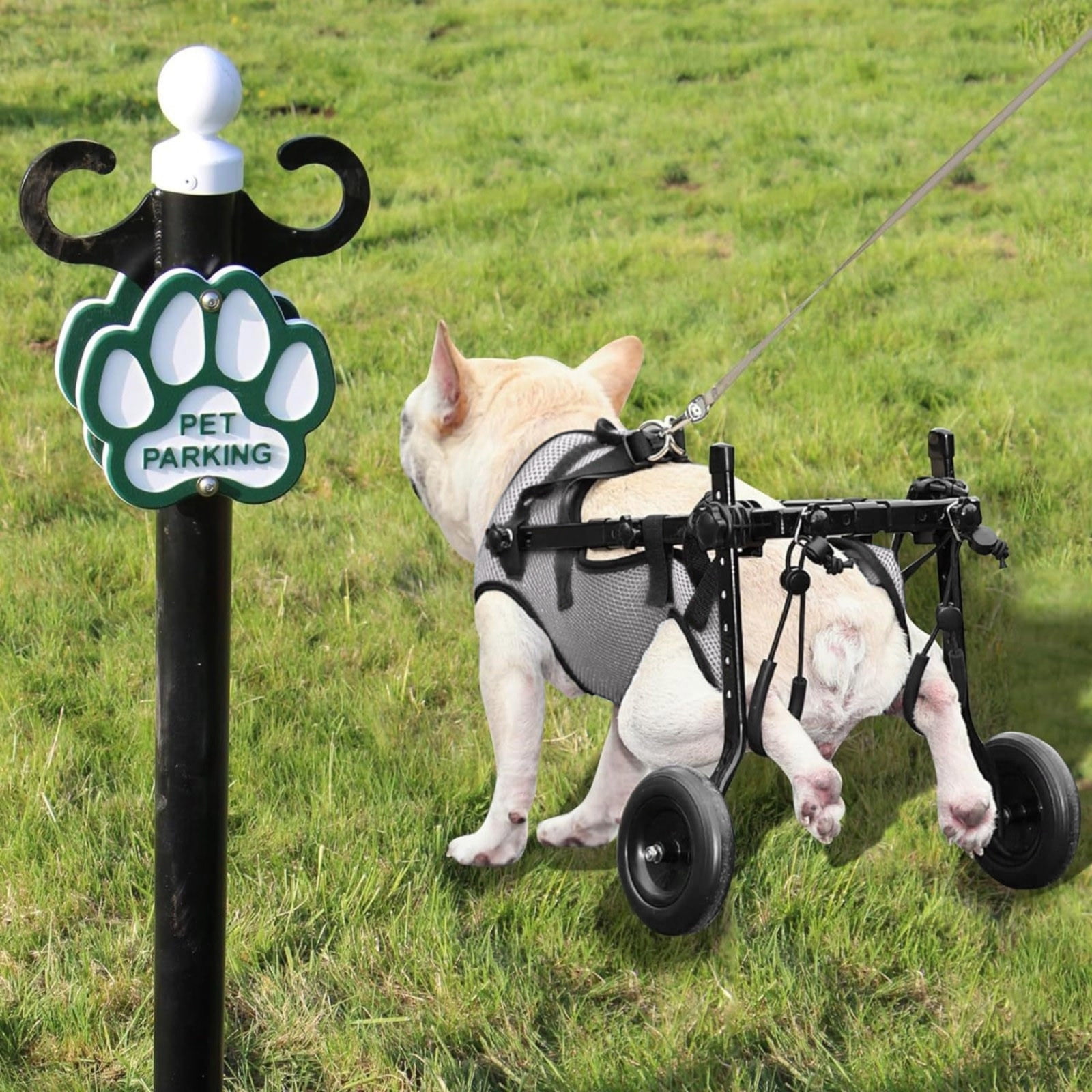 Pet Supplies Dog Wheelchair for Back Legs 2 Wheels Support Aid for ...