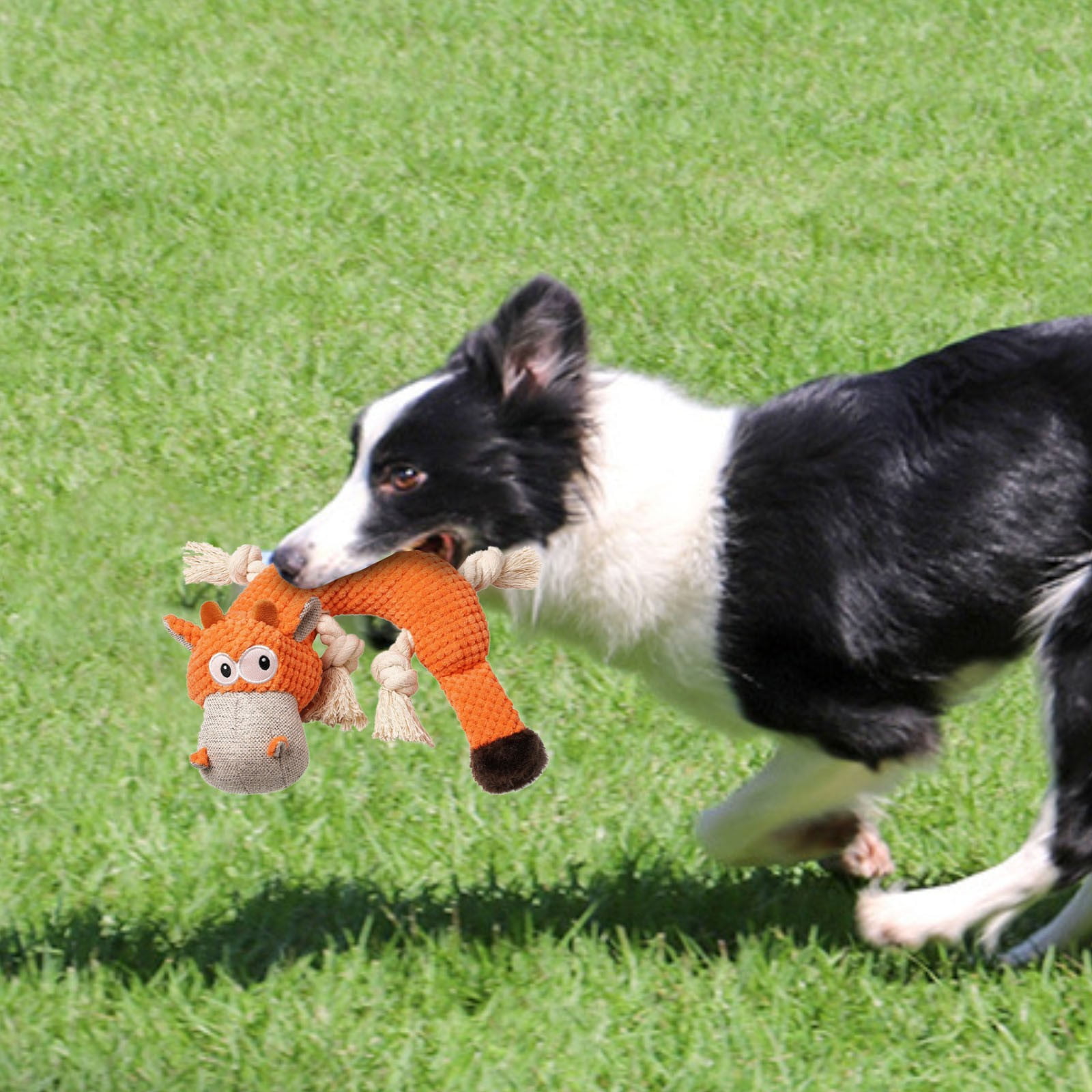 Pet Supplies Sale 2024 Pet Products Dog Animal Plush Dog Vocal Traction ...