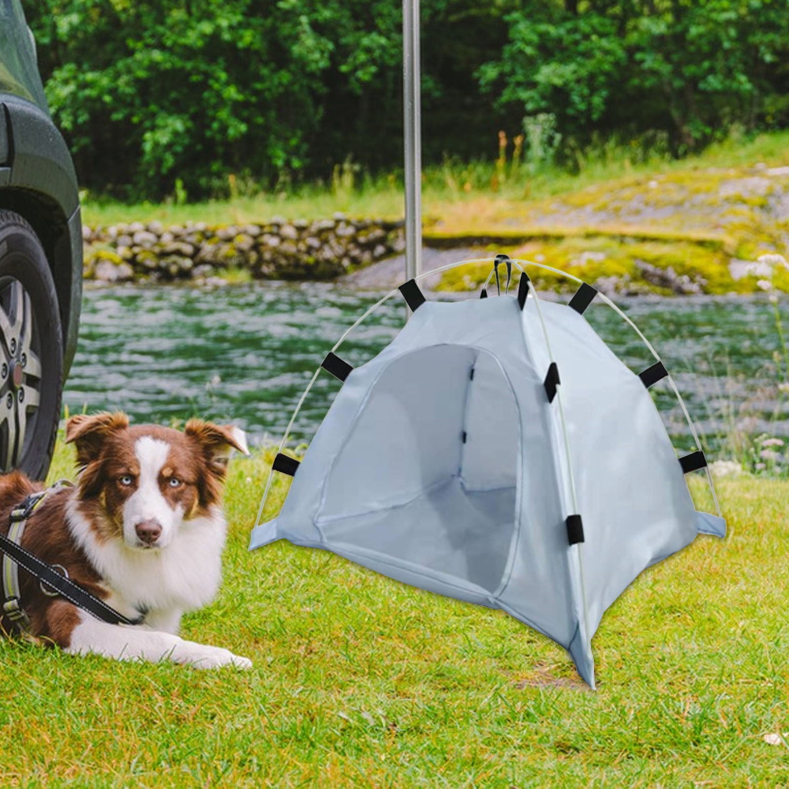 Pet Tent Bed for Small Dogs Cats Guinea Pigs Ferrets | Portable Indoor ...