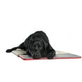 Pet Therapeutics TheraWarm Self-Warming Pad - Walmart.com