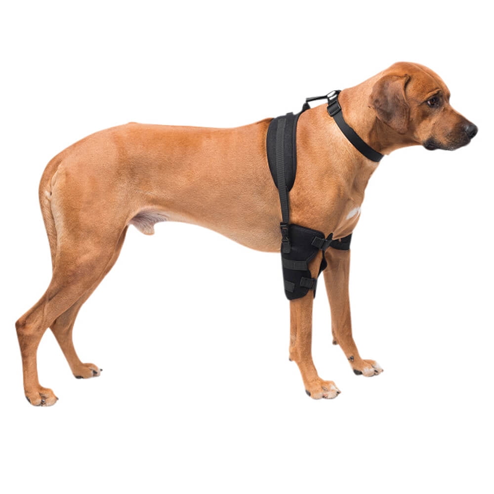 Caldera Pet Therapy Elbow Wrap with Therapy Gel, Large - Walmart.com