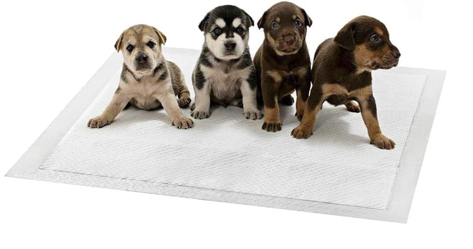 Pet Toilet Training Pads 100Count Disposable Puppy Pee Pads 18" x 13" for Dogs, Ultra Absorbent ...