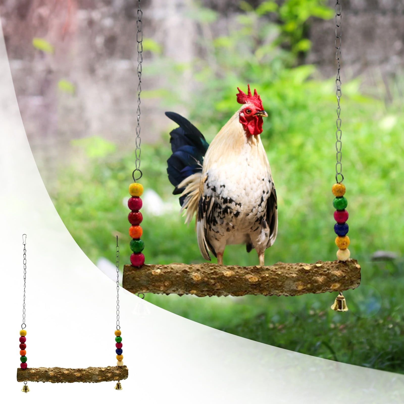 Pet Toys Chicken Bird Swing Coop Accessories for Parrots and Hens Ideal ...