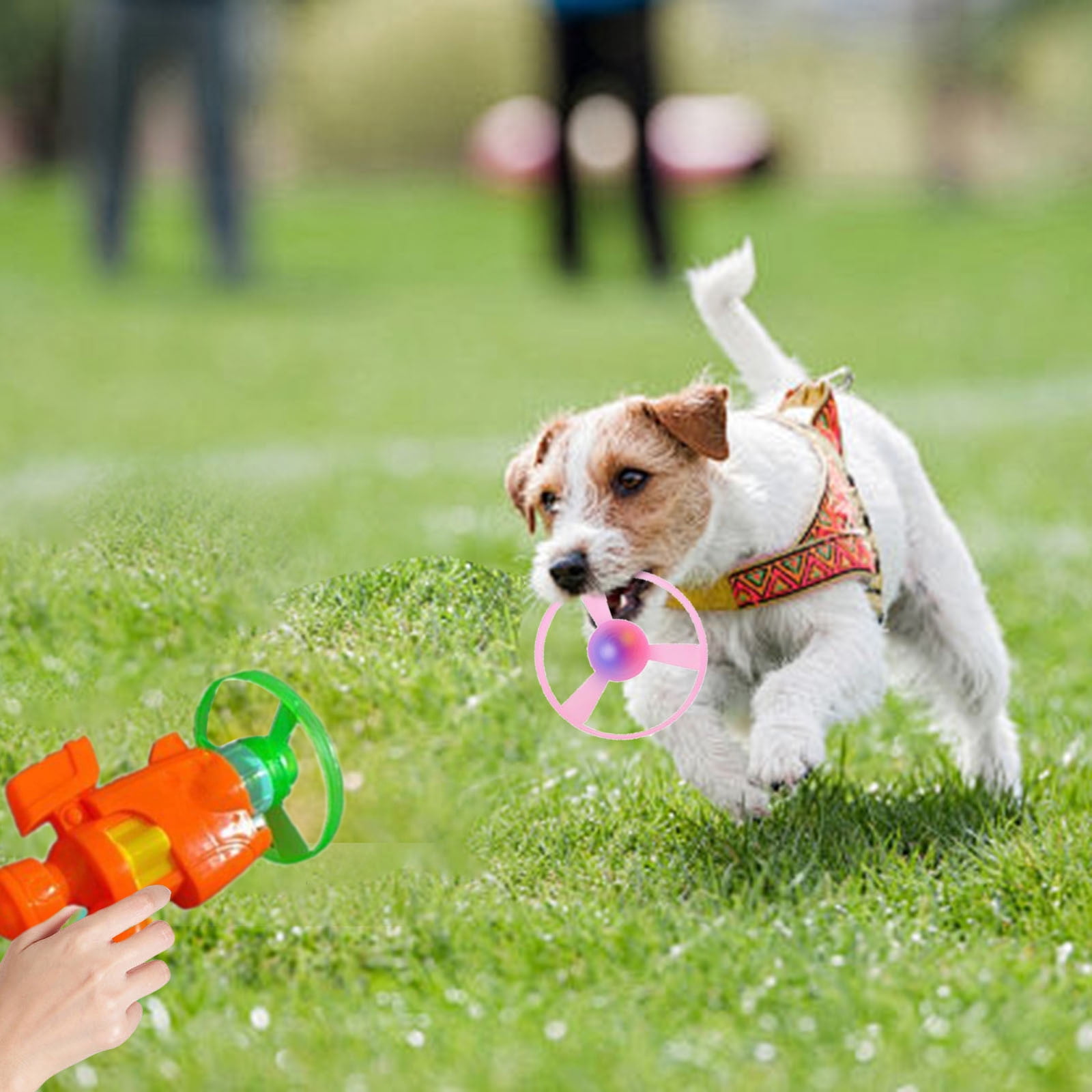 Pet Toys Interactive Cat Set for Pet Training and Enrichment Activities ...