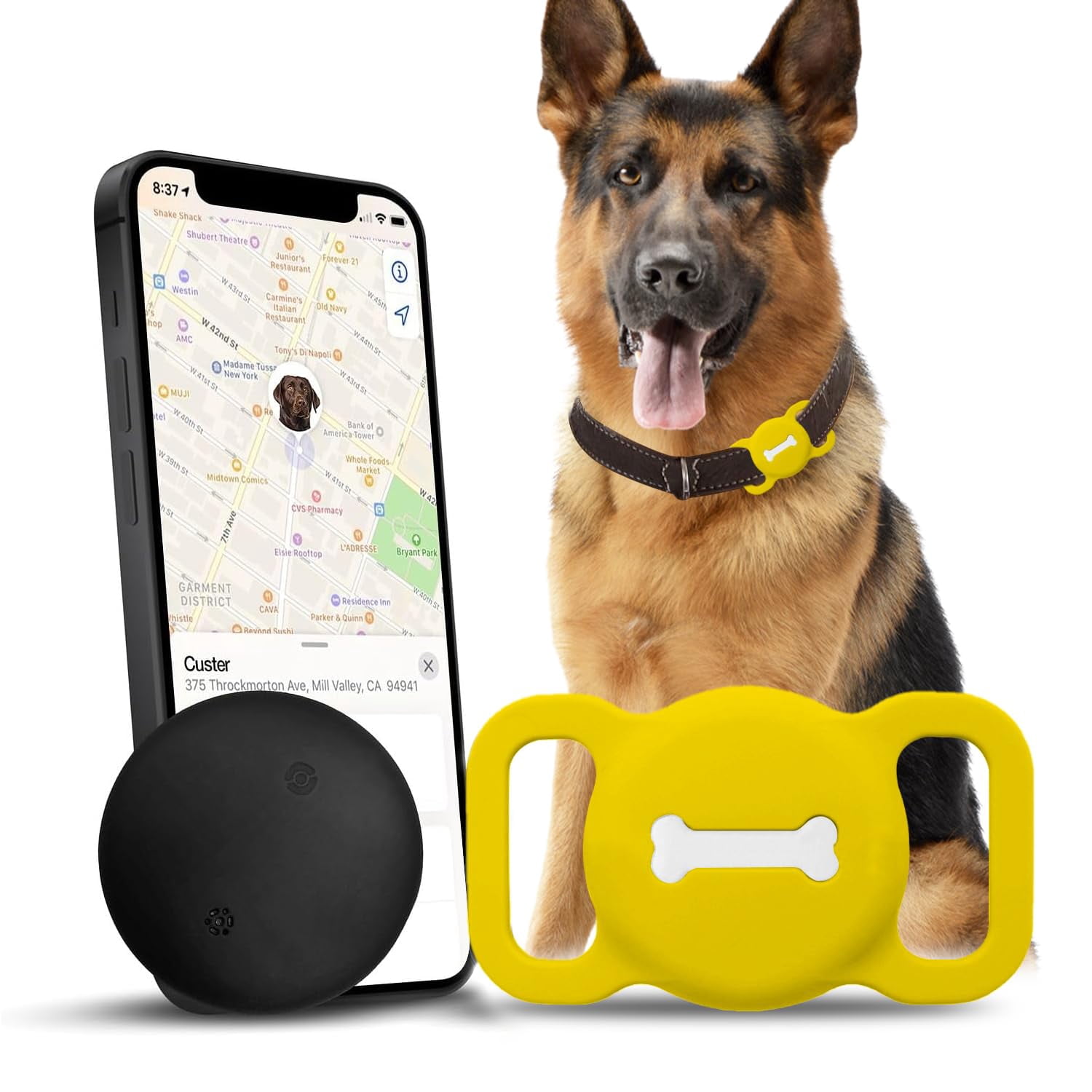 Pet Tracker for Cat, Smart Pet Location Tracker with Cat Collar Holder ...