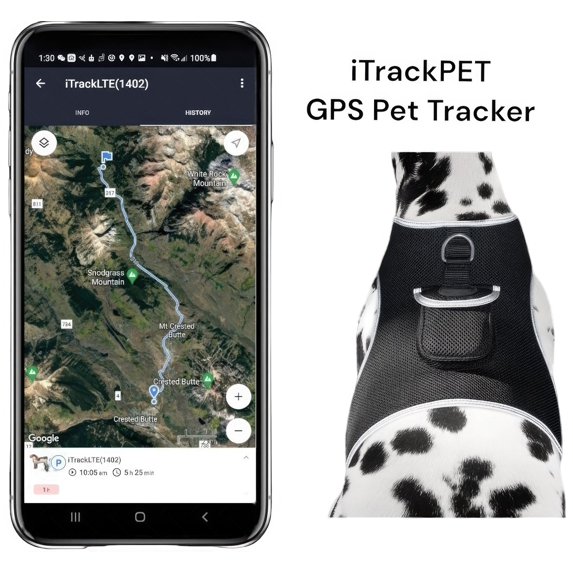 Pet Tracker Realtime GSM GPS Tracking Collars for Hunting Dogs ...