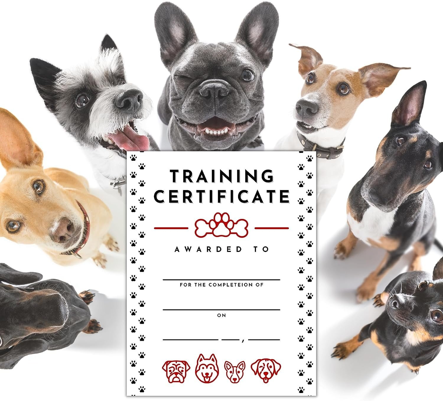Pet Training Certificate of Completion 50 pk 8.5 11 for Dog Trainers ...