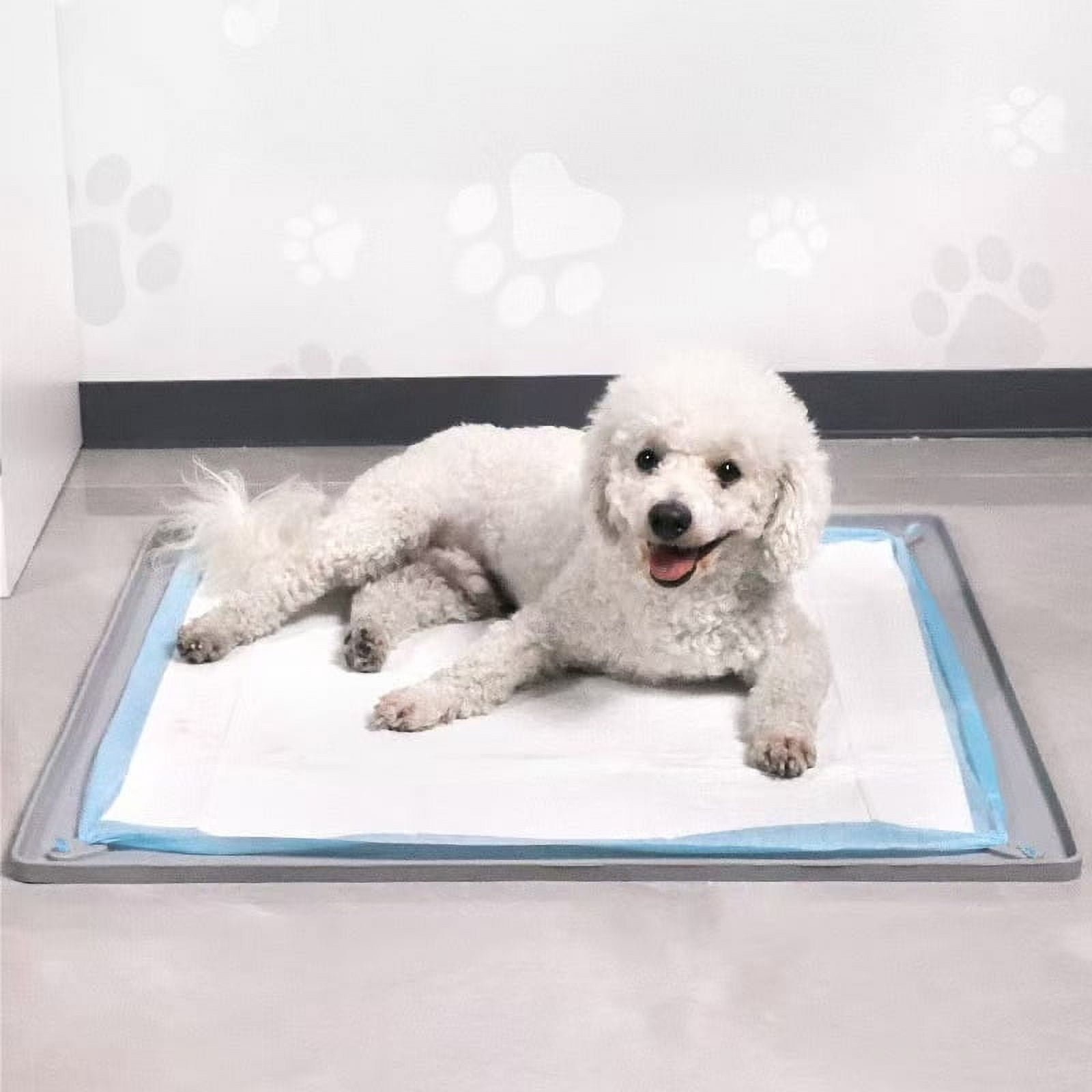 Pet Training Pad Holder, Non-Slip Base, Raised Edges, Leak-Proof, Easy to Clean - Ideal for ...