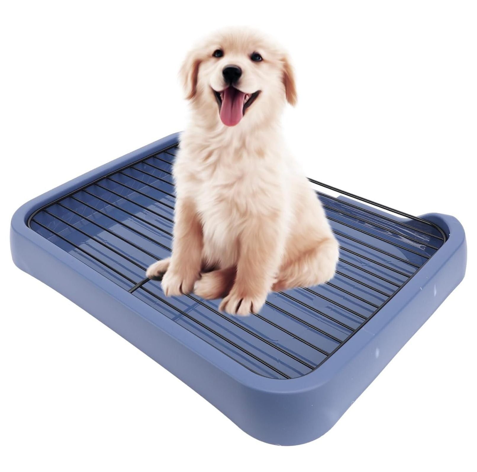 Pet Training Tray, Odorless Dog Potty Tray with Removable Mesh for ...