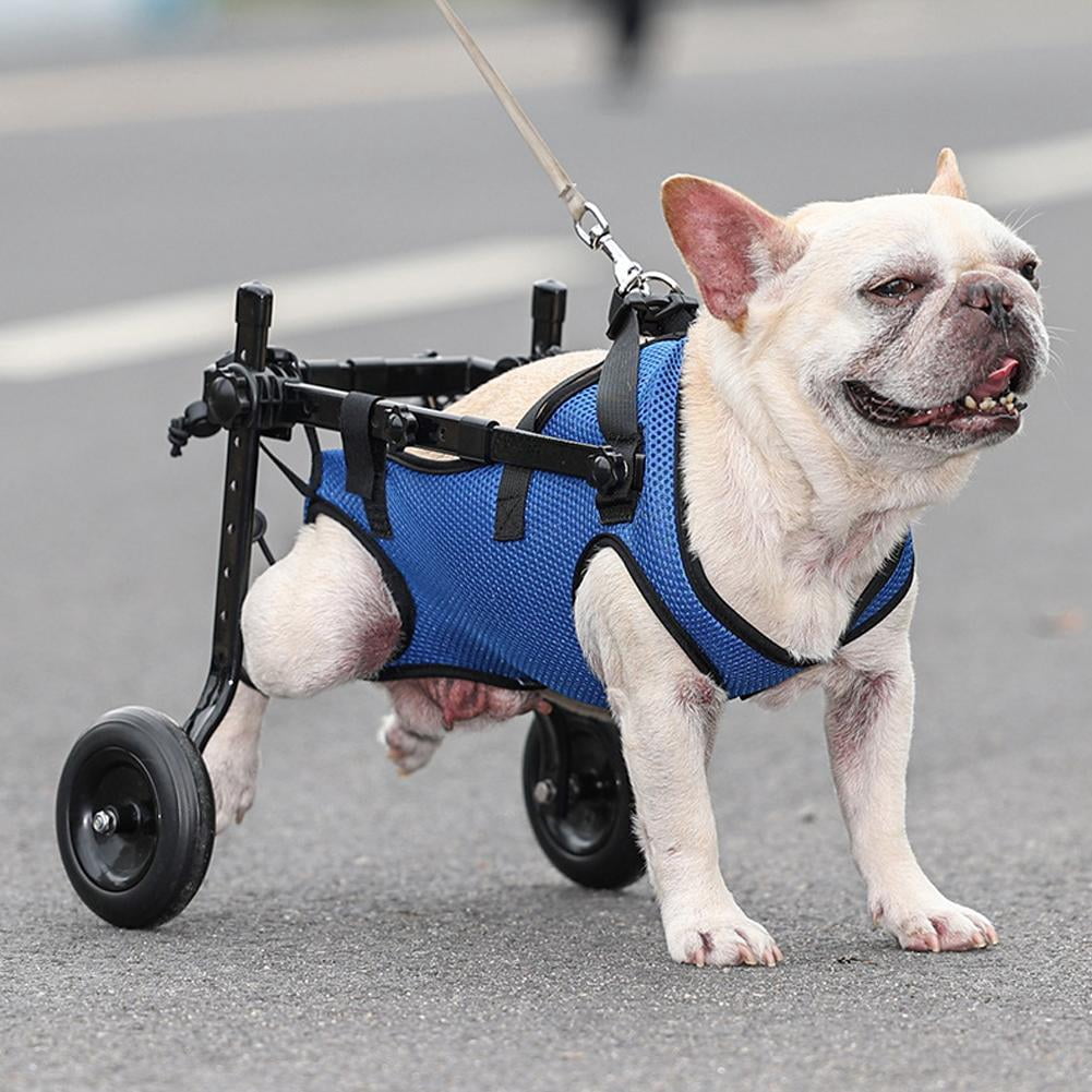 Pet Trolley Adjustable Hind Leg Disabled Pet Dog Mobility Aid Light ...
