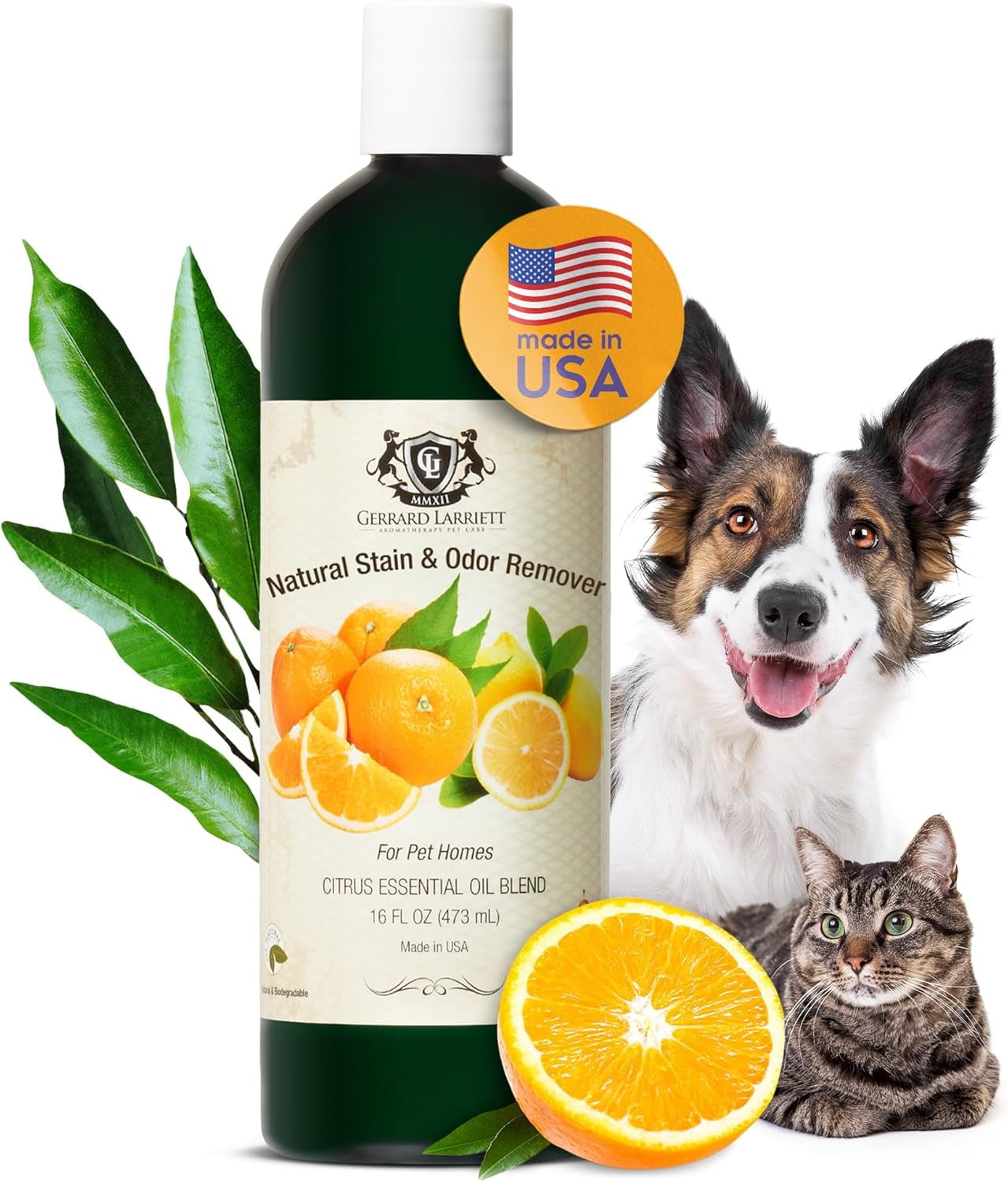 Pet Urine Odor Eliminator Spray Citrus Oil Blends 16 oz, Dog & Cat ...