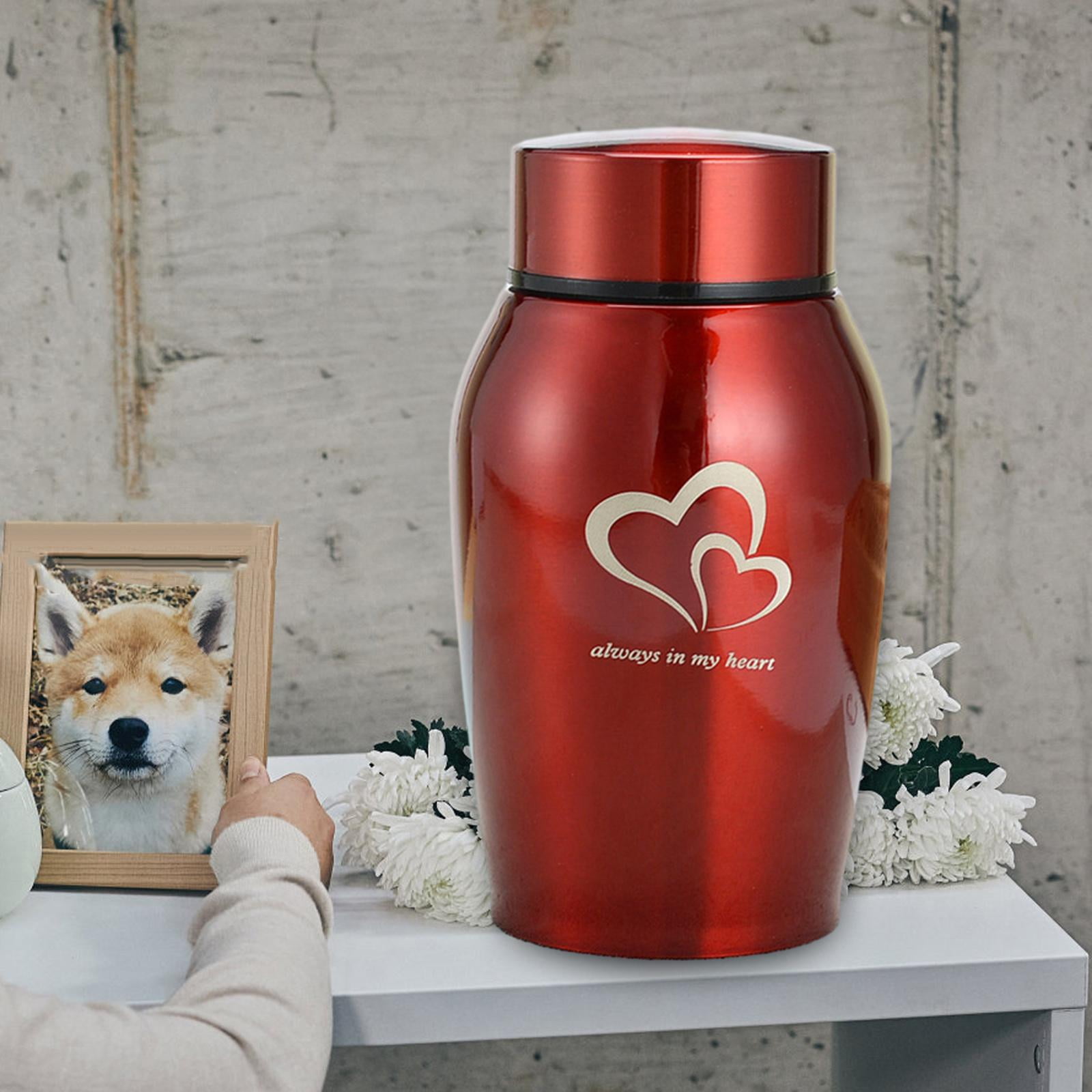 Pet Urn Lightweight Storage Container Cremation Urn for Rabbit Kitten ...