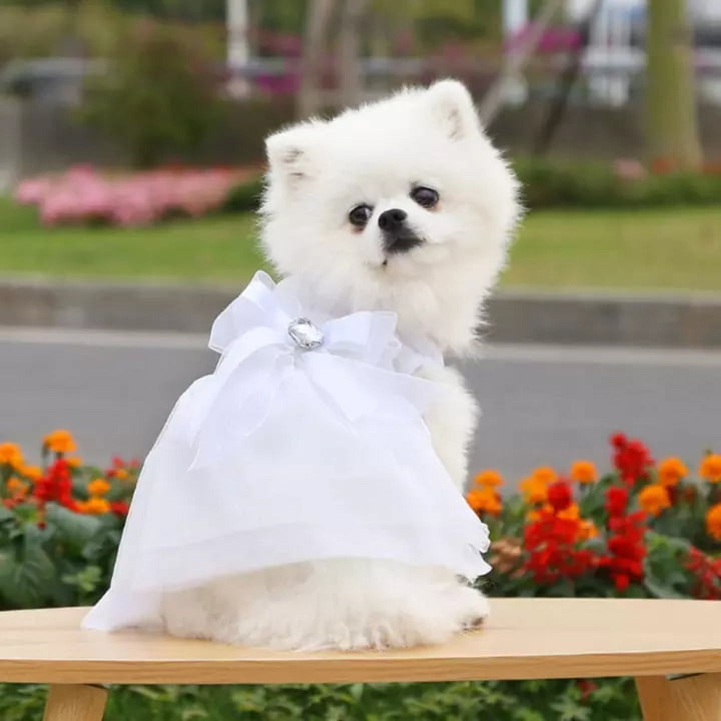 Pet Wedding Suit Bow Classics Romantic Princess Dress and Formal Shirt ...