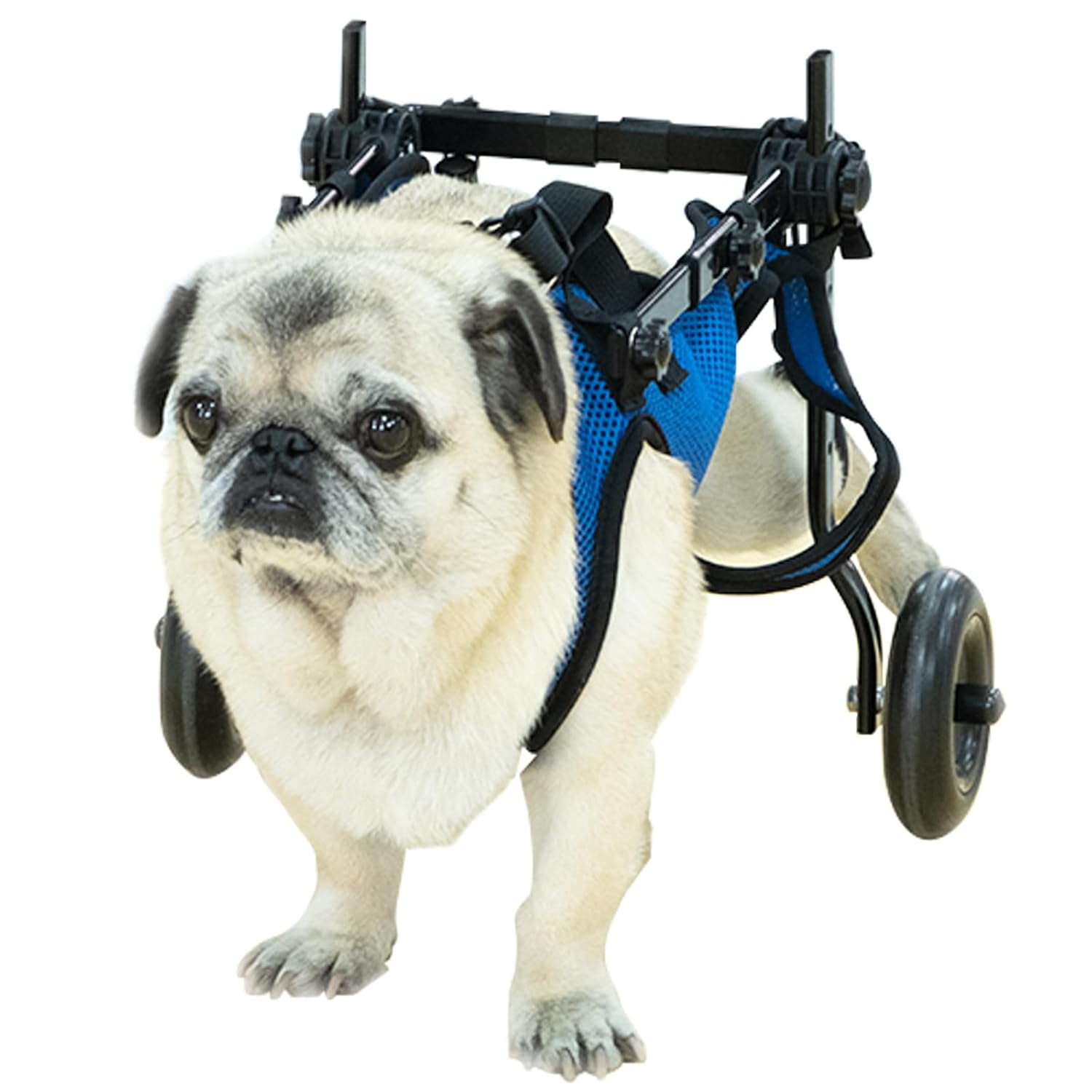 Pet Wheelchair Disabled Hind Legs Walking-Dog Leg Brace and Hip Support ...