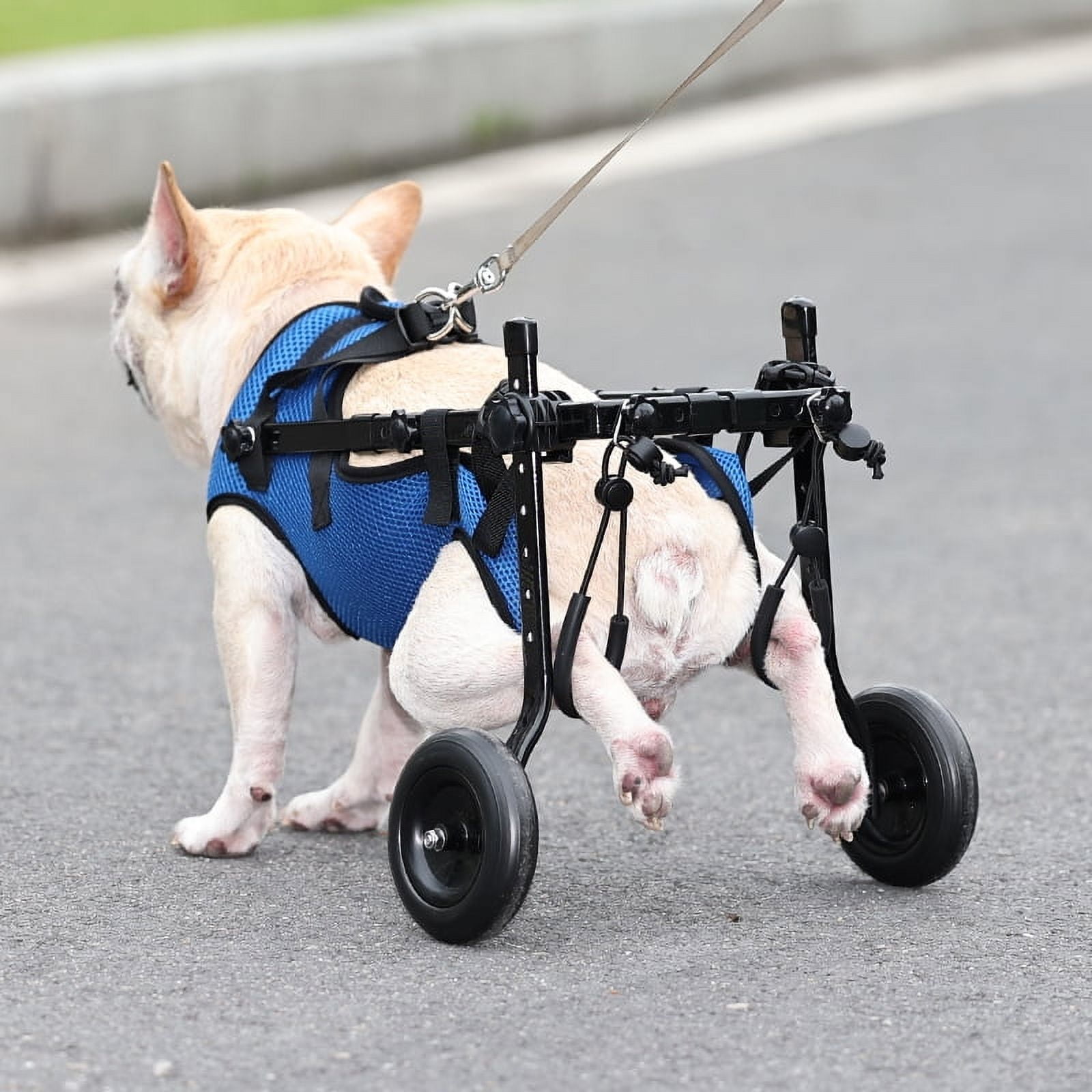 Pet Wheelchair Stroller Adjustable Pet Mobility Aid Disabled Cat And ...