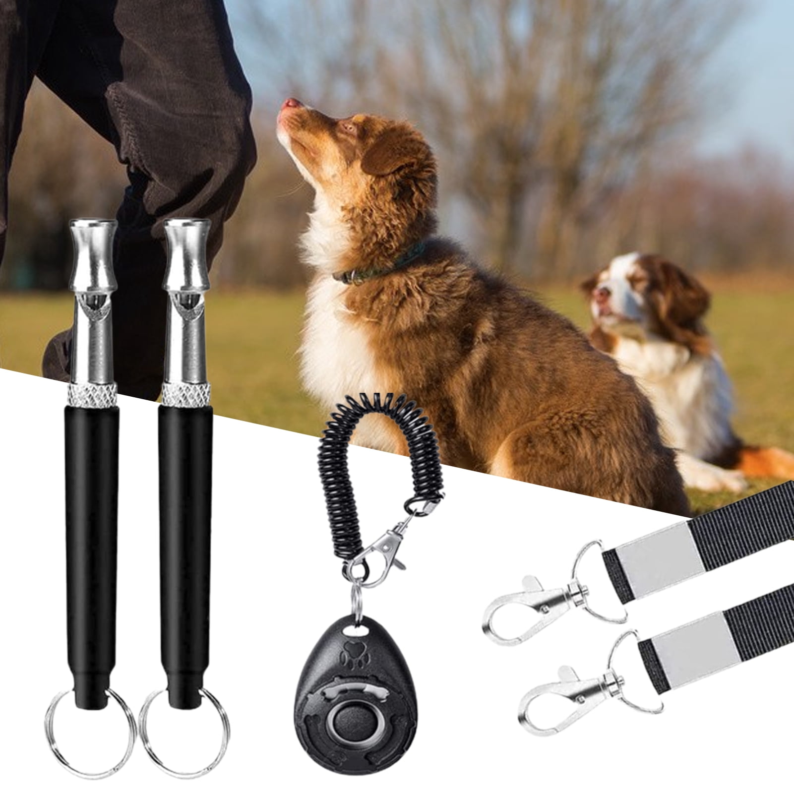 Pet Whistle Adjustable Frequency Stop Barking with Lanyard Professional ...
