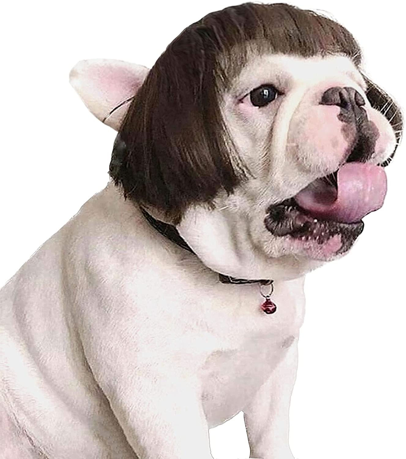 Pet Wig Blonde Ponytail-Dog Costume Headgear for Dog Cat-Realistic ...