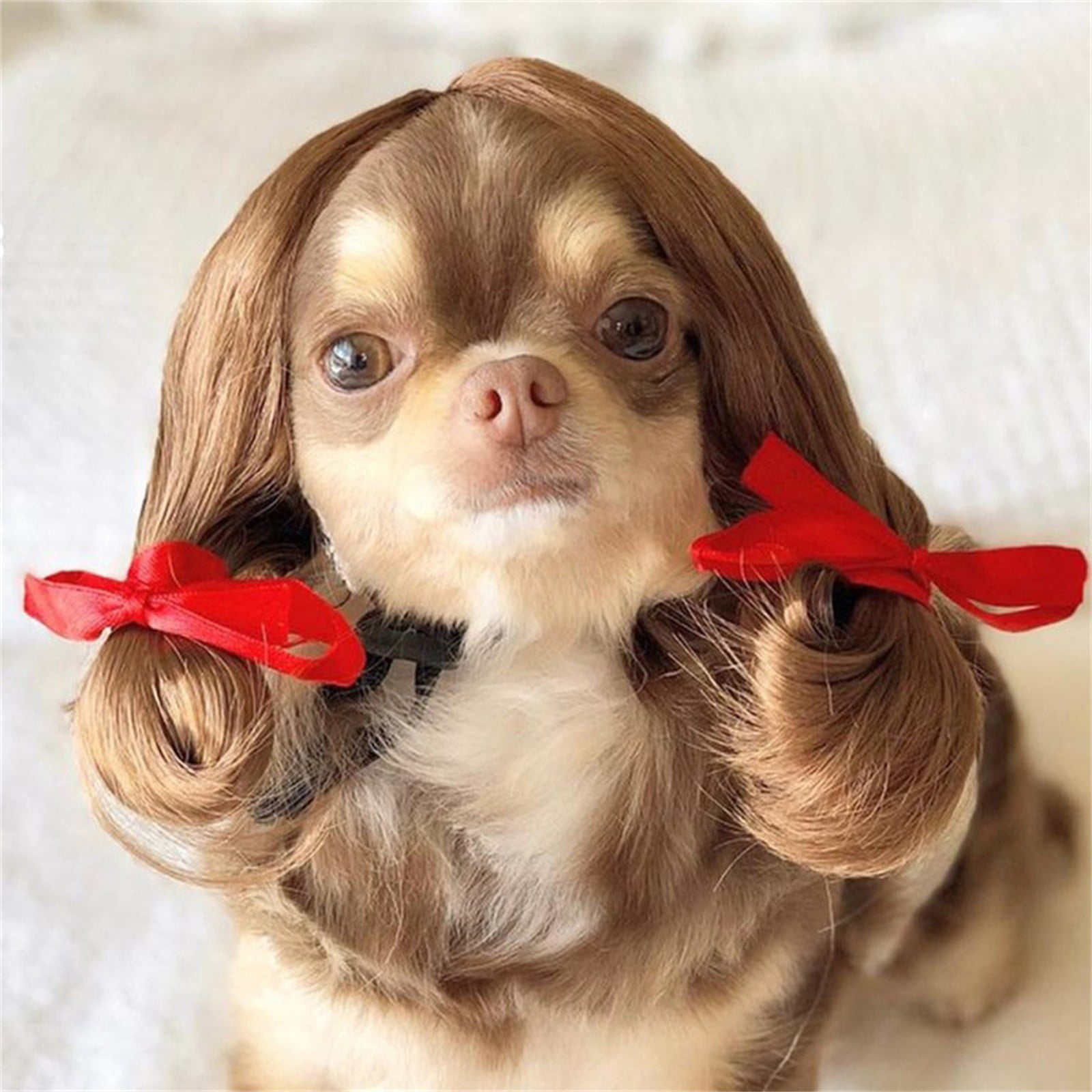 Pet Wig Photography Prop For Cats And Dogs Funny Hair Accessory With ...