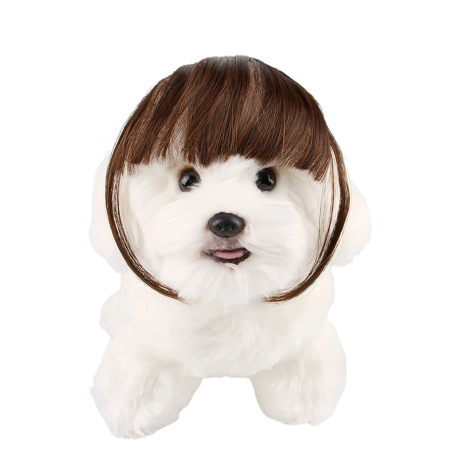 Pet Wigs With Full And Hairstyles Bidding Farewell To Monotony Cuteness ...