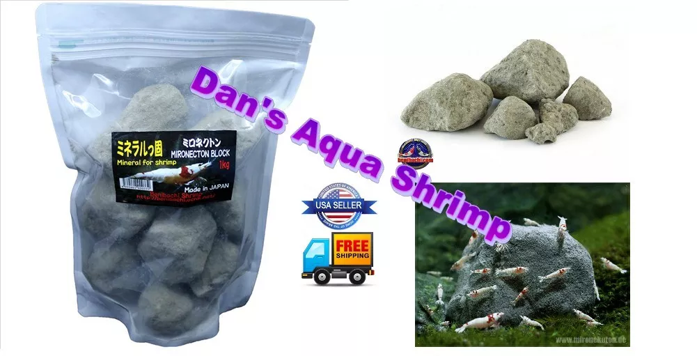 Pet kare - Benibachi MIRONEKUTON Natural Deep Sea Mineral Stone Shrimp ...