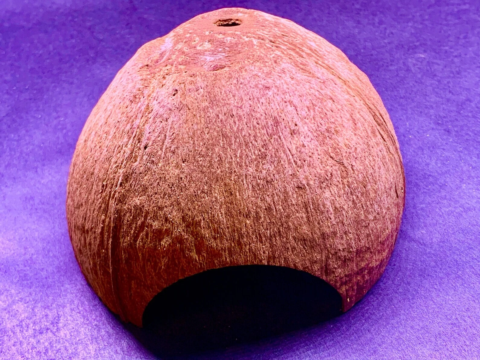 Pet kare - Coconut shell aquarium For Cichlid Fish Hide Cave Aquarium ...