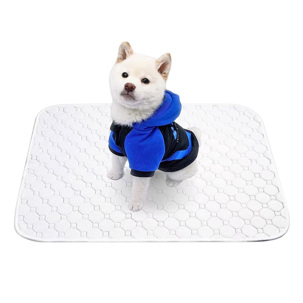 Pet urine pad can be washed and reused. Dog water absorption and urine ...
