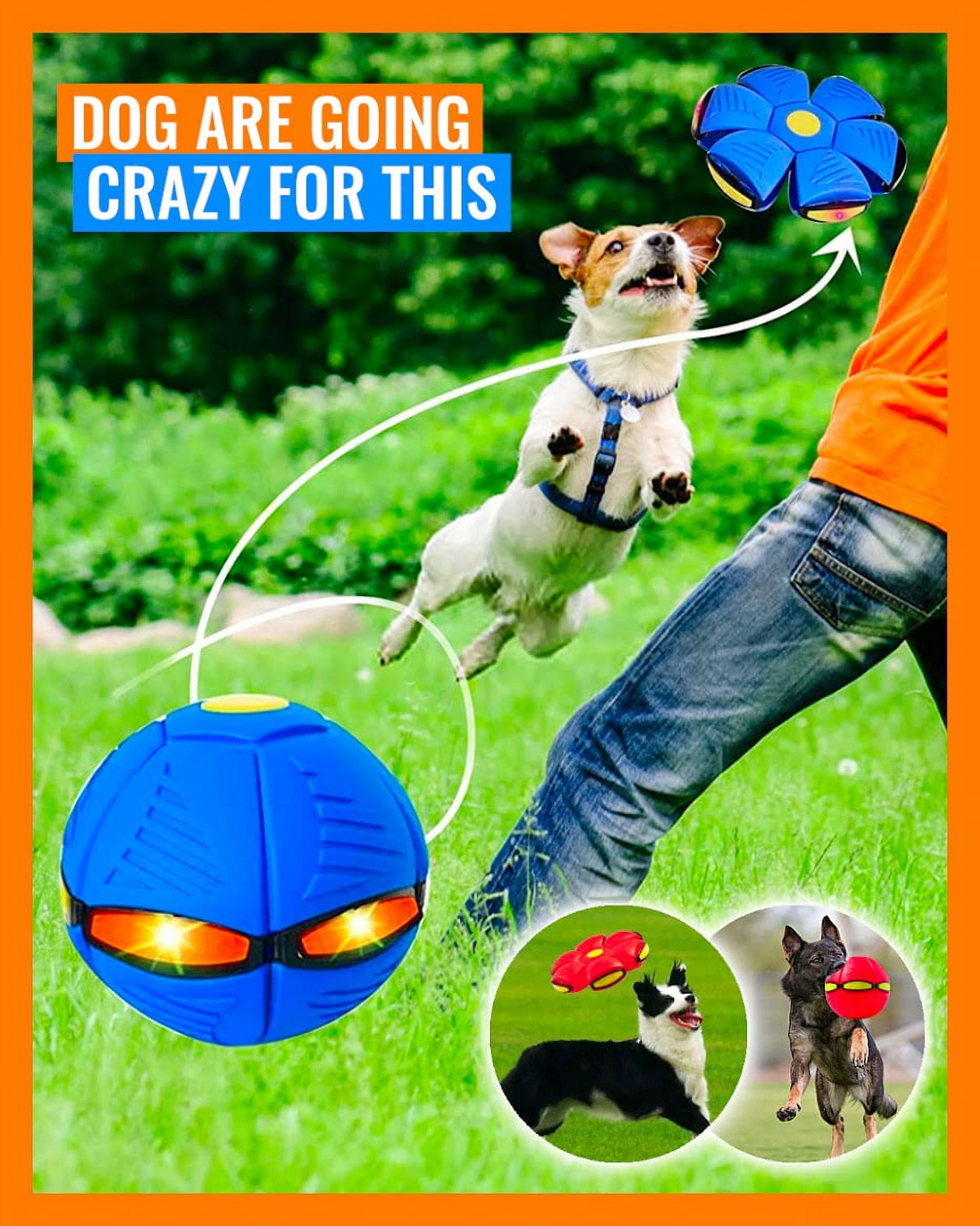 PetAero - Magic Pet Toy Flying Saucer Ball (Yellow) - Walmart.com