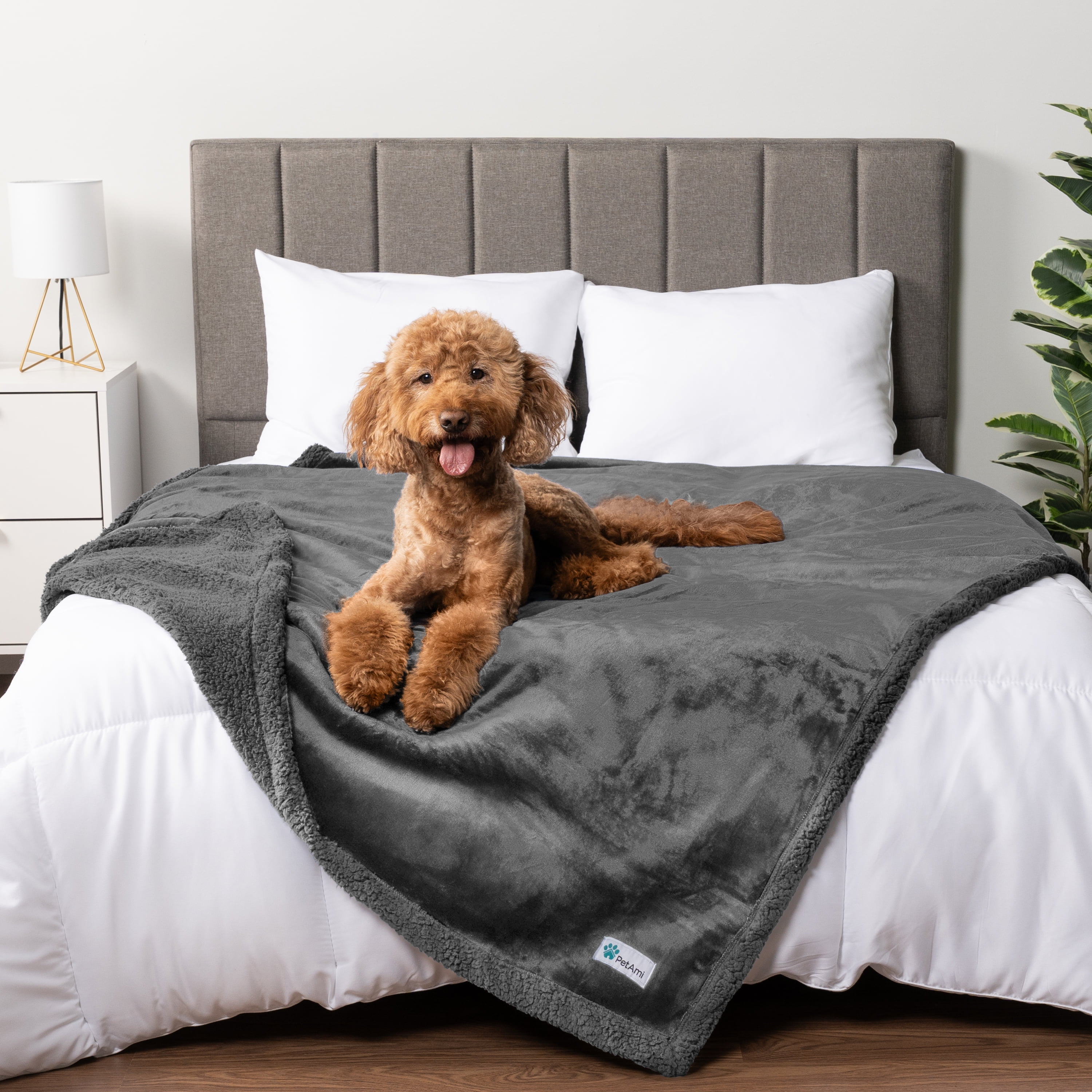 PetAmi Waterproof Dog Blanket for Medium Large XL Dog Puppy Cat Throw ...