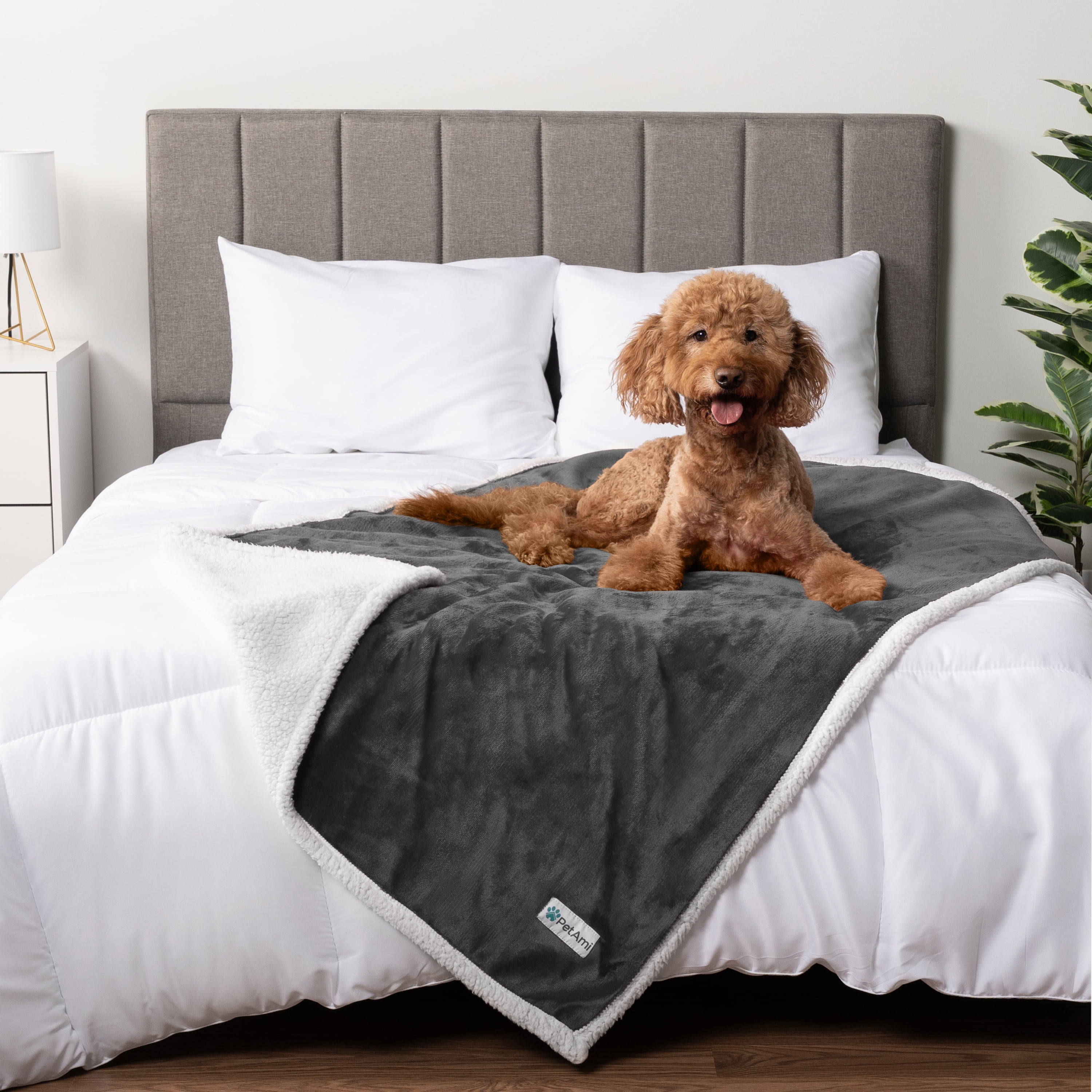 PetAmi Waterproof Dog Blanket for Medium Large XL Dog Puppy Cat Throw for Couch Cover Leakproof ...