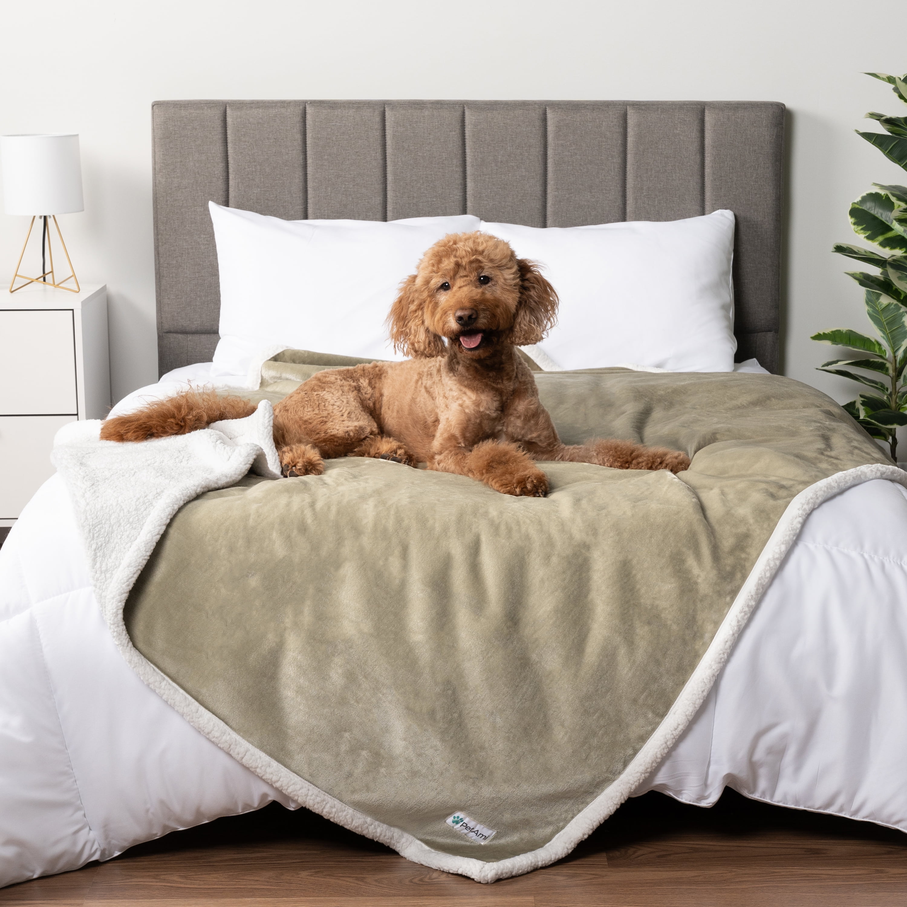 PetAmi Waterproof Dog Blanket for Medium Large XL Dog Puppy Cat Throw ...